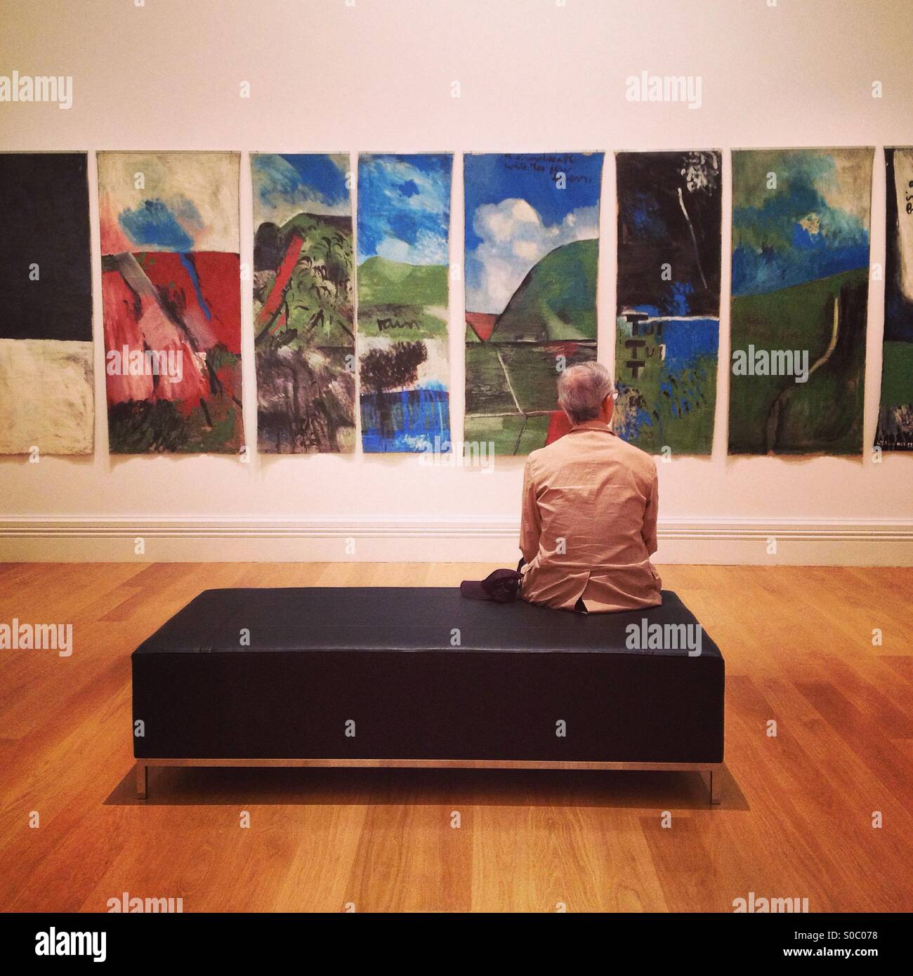 Auckland Art Gallery High Resolution Stock Photography and Images - Alamy