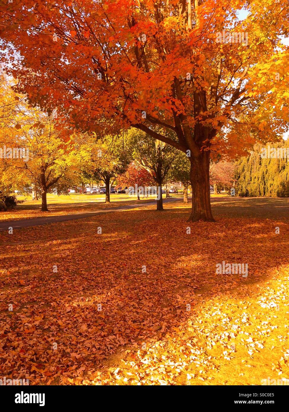 Sunny days with kids hi-res stock photography and images - Alamy