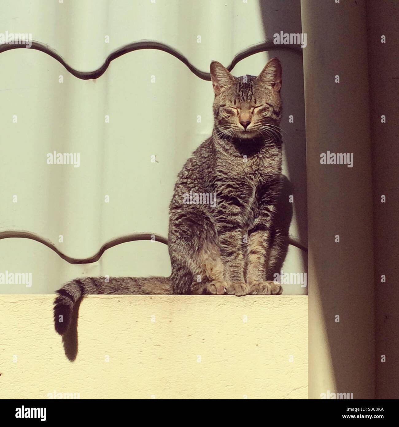 Under the sun shine hi-res stock photography and images - Alamy