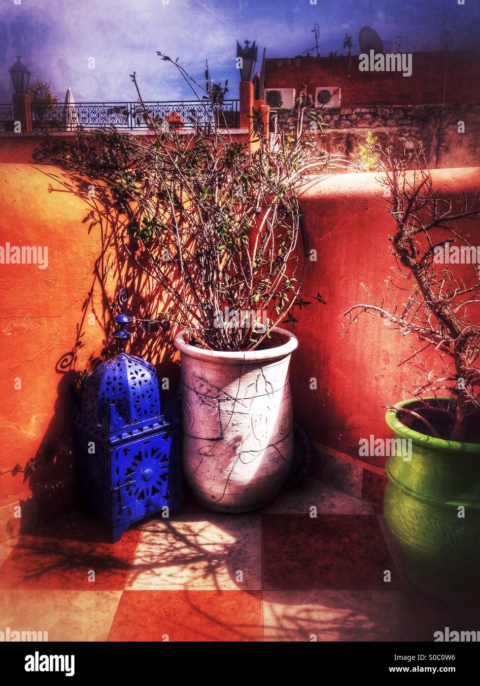 Terrace plant pots, Marrakech, Morocco Stock Photo - Alamy