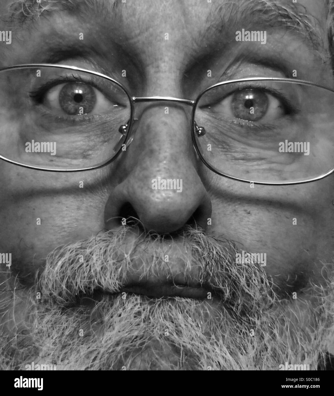 White male, age 64, close-up of bearded, aging face, Model Released ...