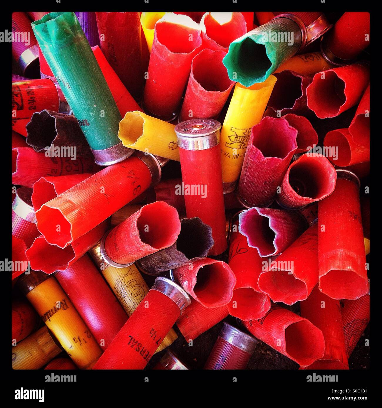 Fired Shotgun Shells