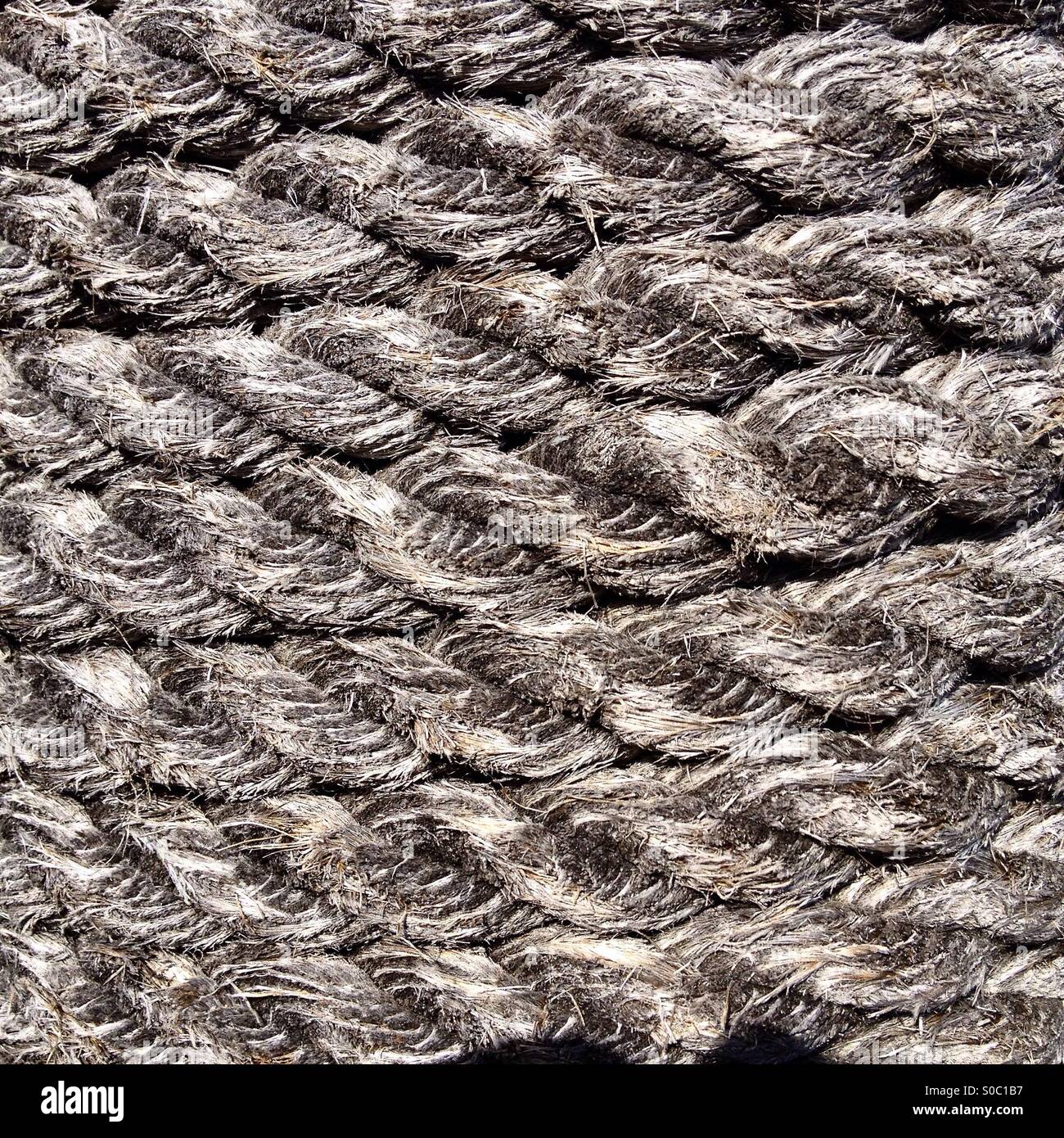 Marine column hi-res stock photography and images - Alamy