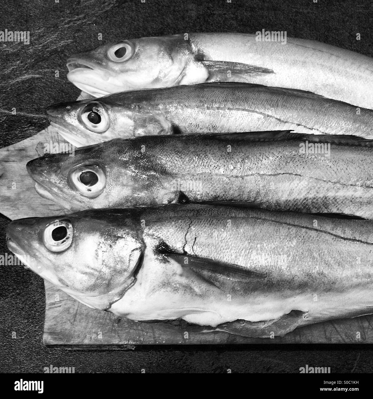 Cooking whiting hi-res stock photography and images - Alamy