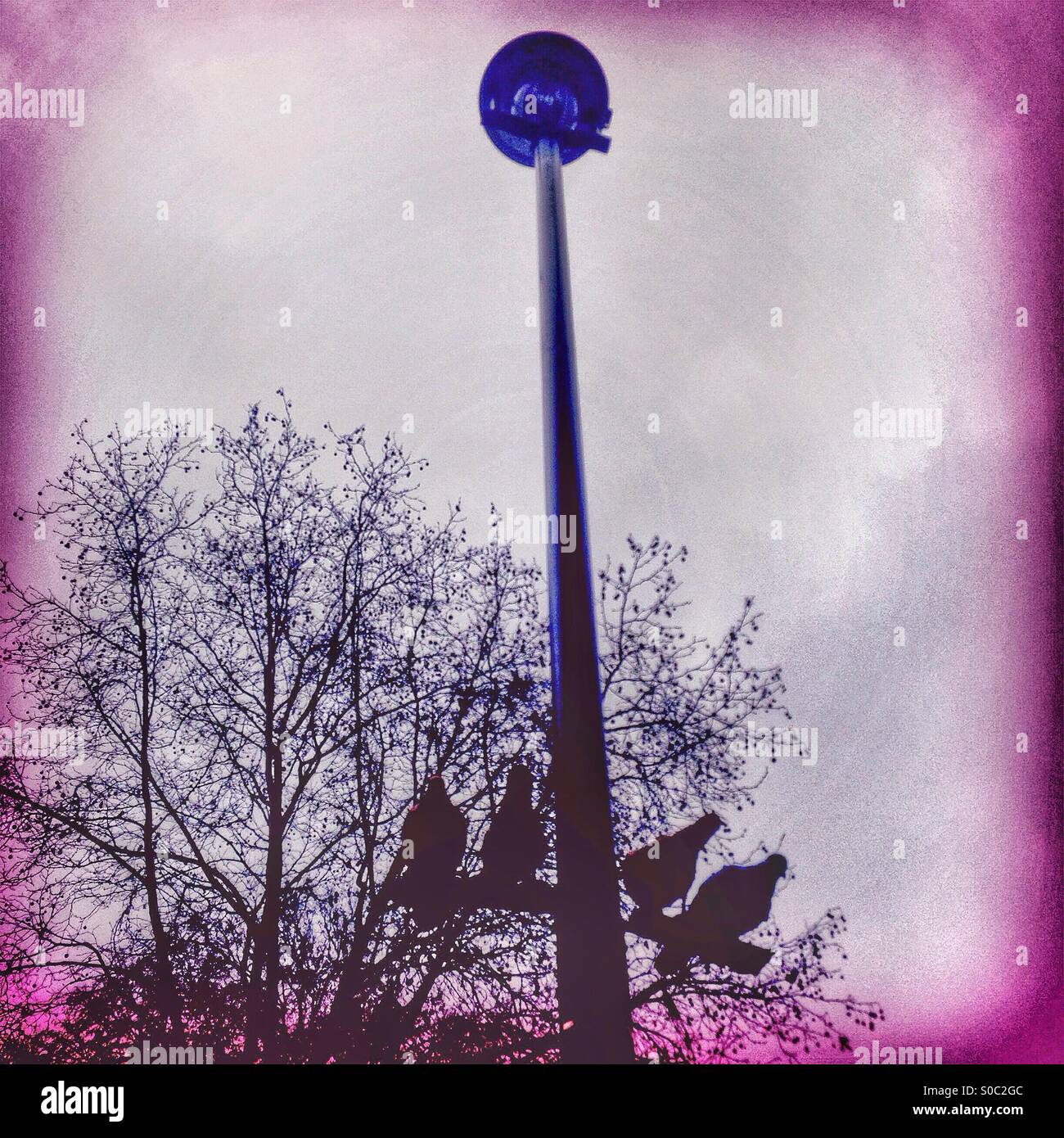 Plastic birds hi-res stock photography and images - Alamy