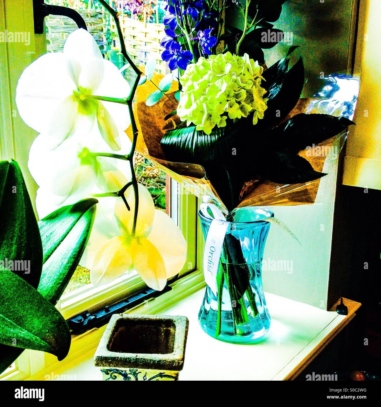 See window spring hi-res stock photography and images - Alamy