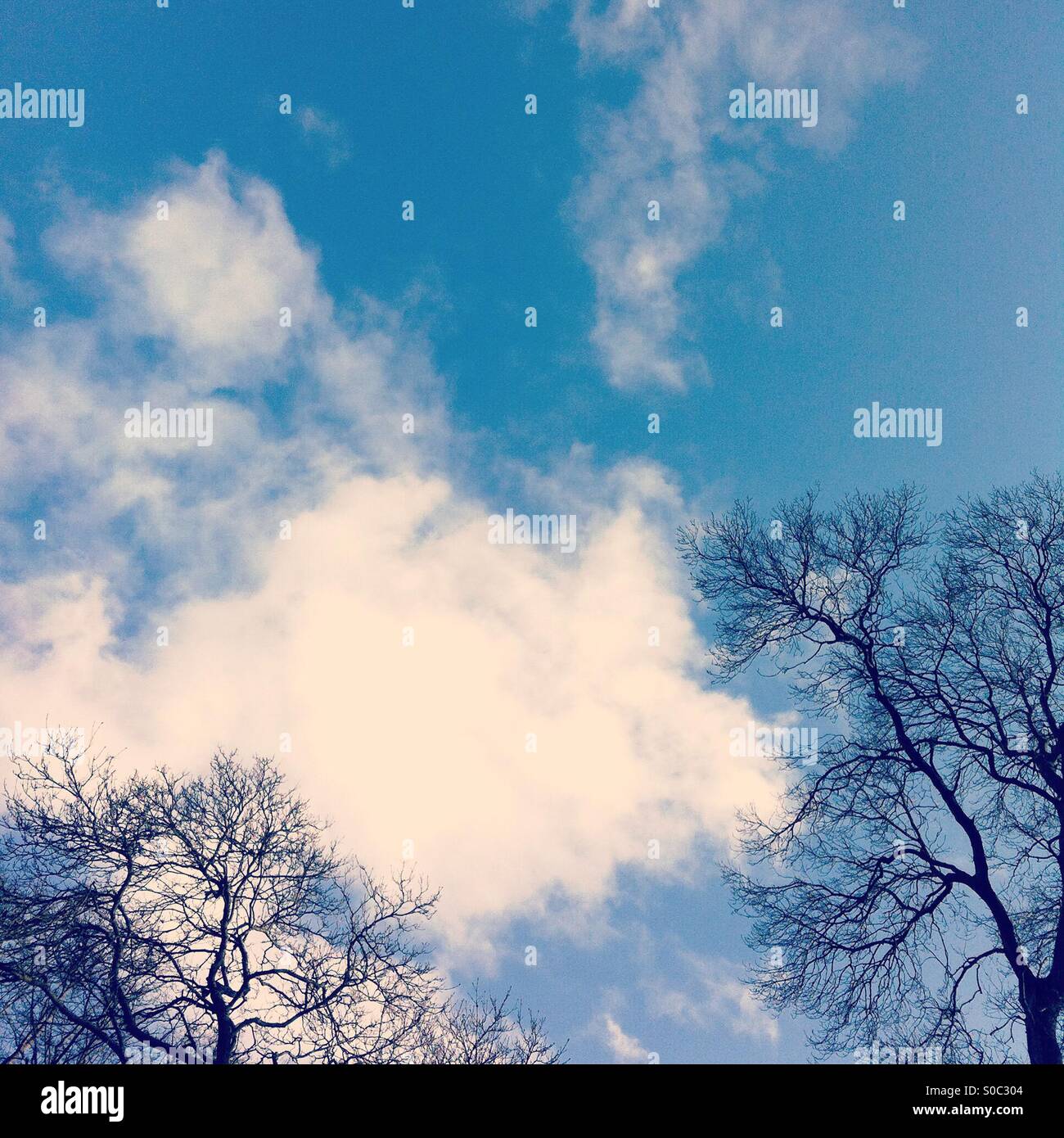 Above only sky hi-res stock photography and images - Alamy