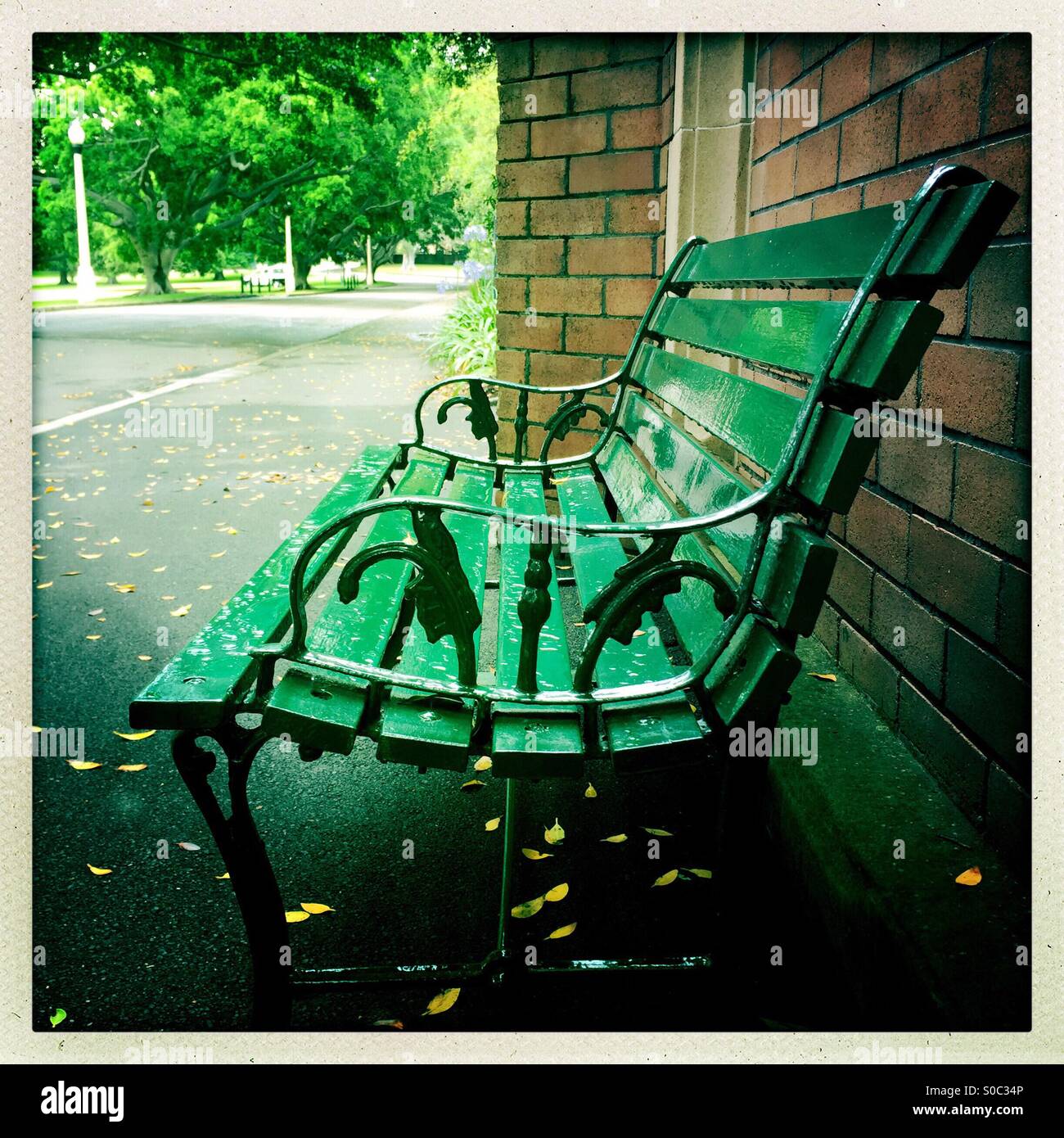 Bench facing the Garden Stock Photo - Alamy