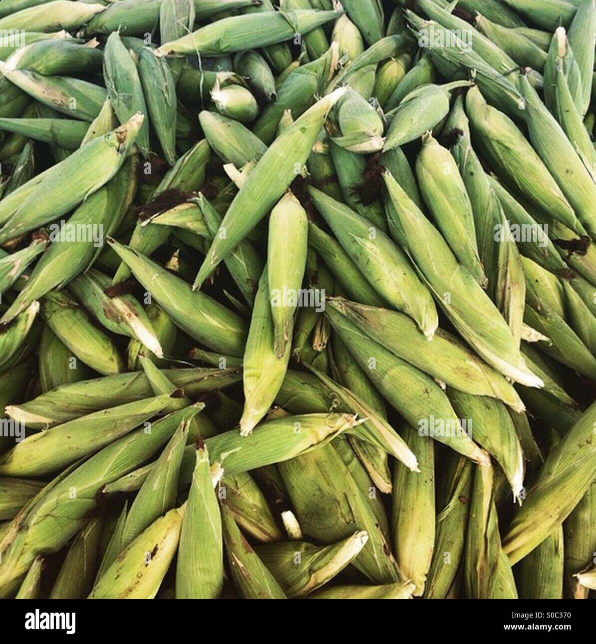 Bunch of corns hi-res stock photography and images - Alamy