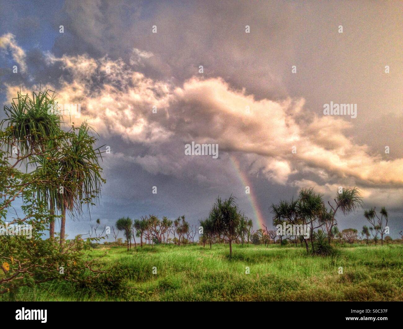 Rainbow falling on the bush in the Northern Territory of Australia ...