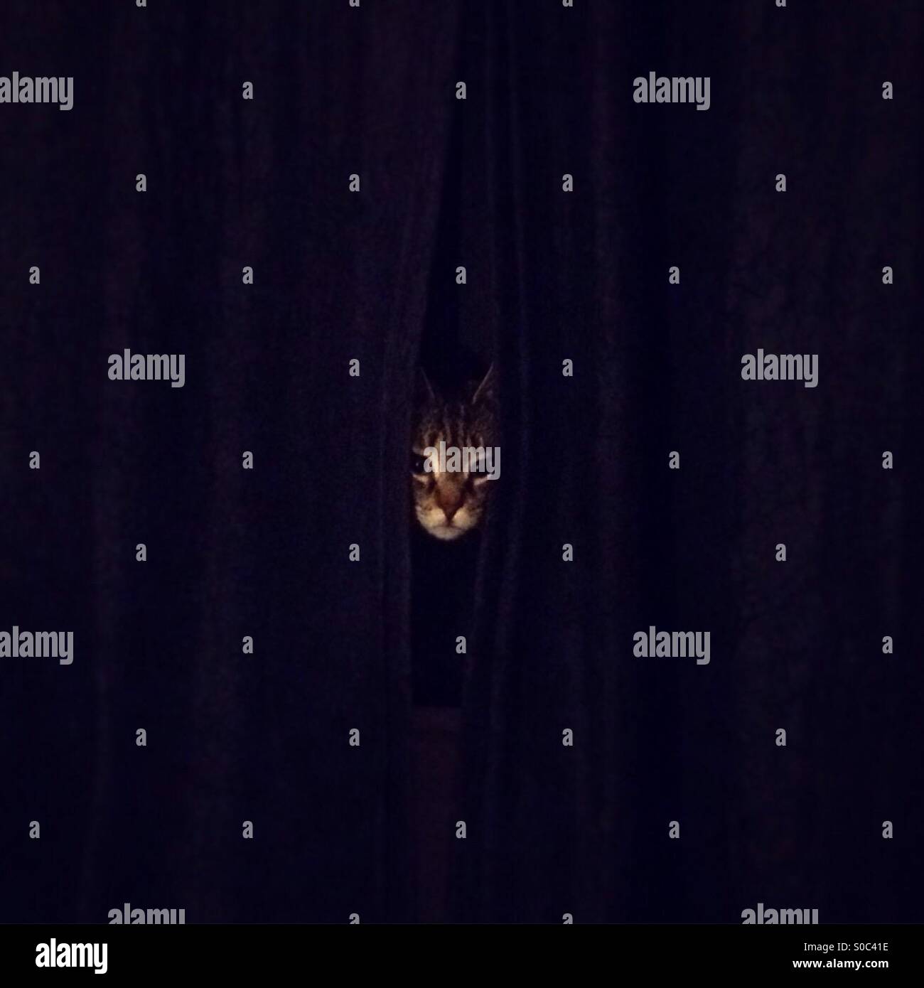 Spying hiding hi-res stock photography and images - Alamy