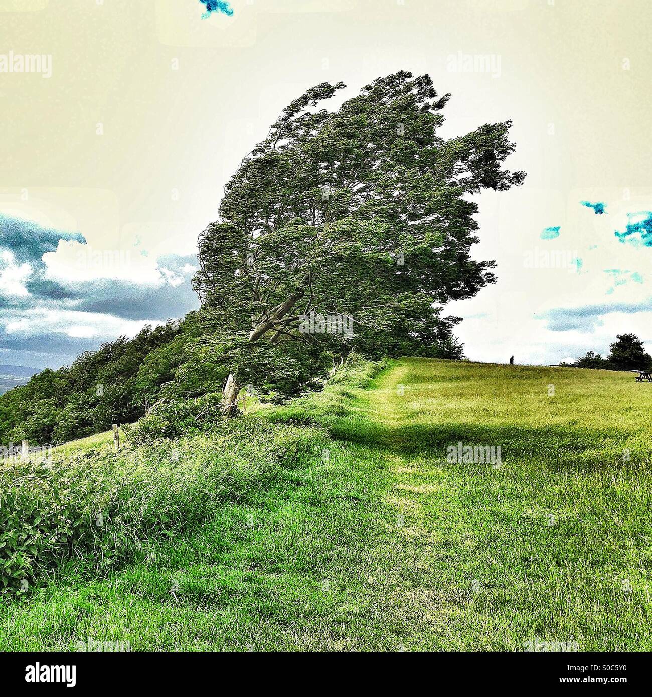 The cotswolds edge summer hi-res stock photography and images - Alamy