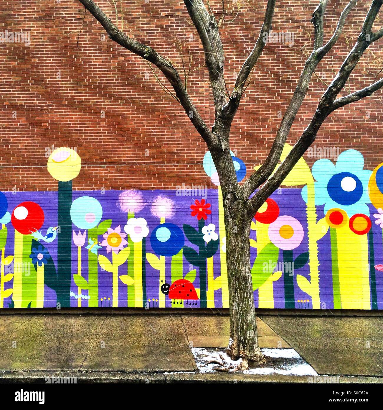 Tree mural hi-res stock photography and images - Alamy