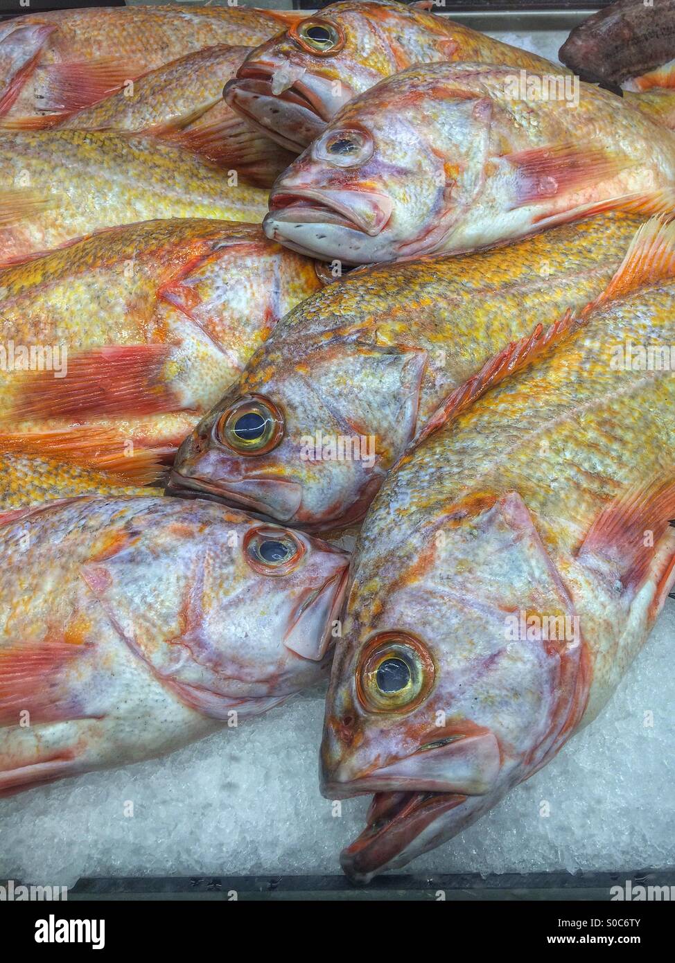 Rockfish fish market hi-res stock photography and images - Alamy
