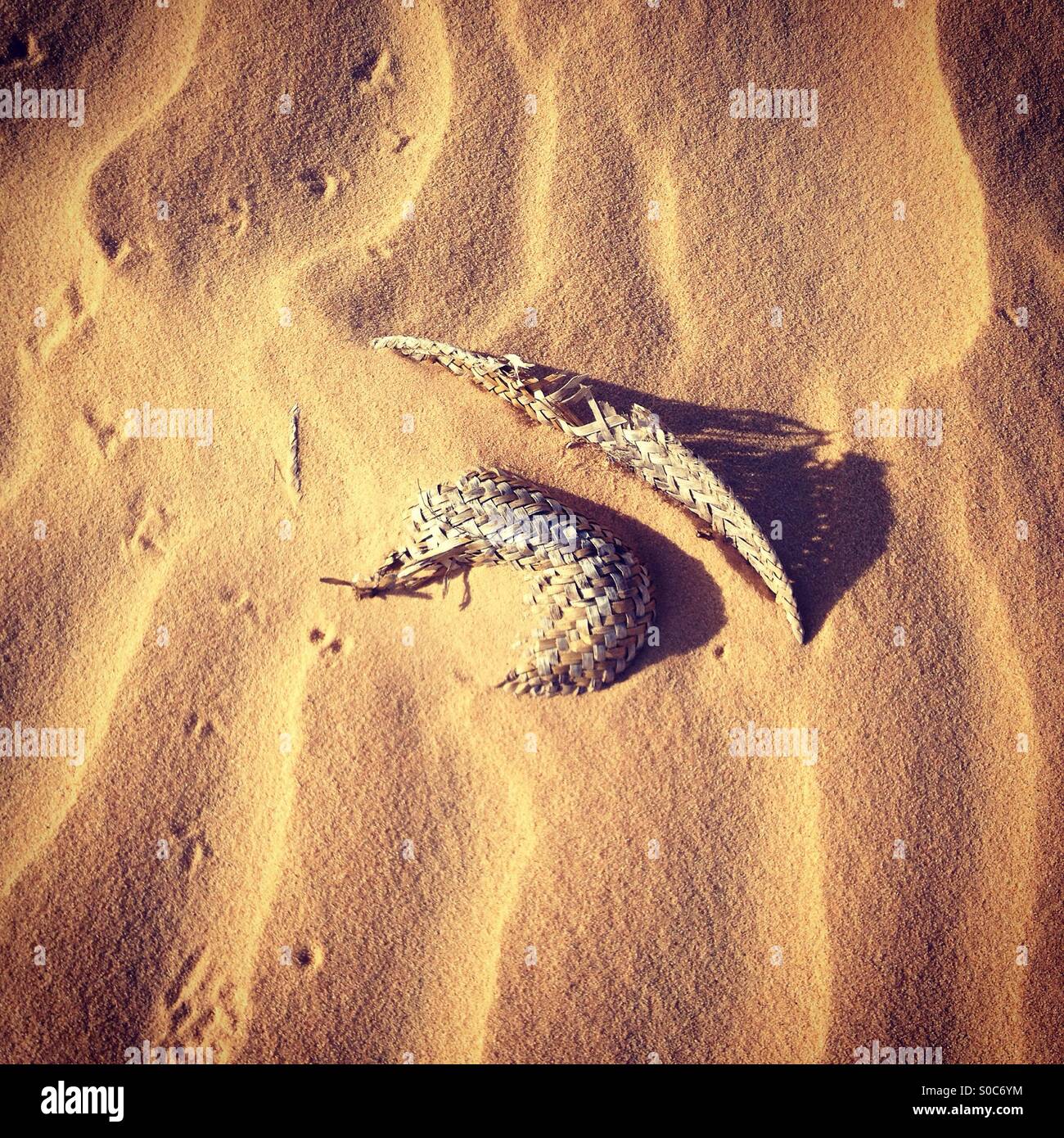 Half buried covered hi-res stock photography and images - Alamy
