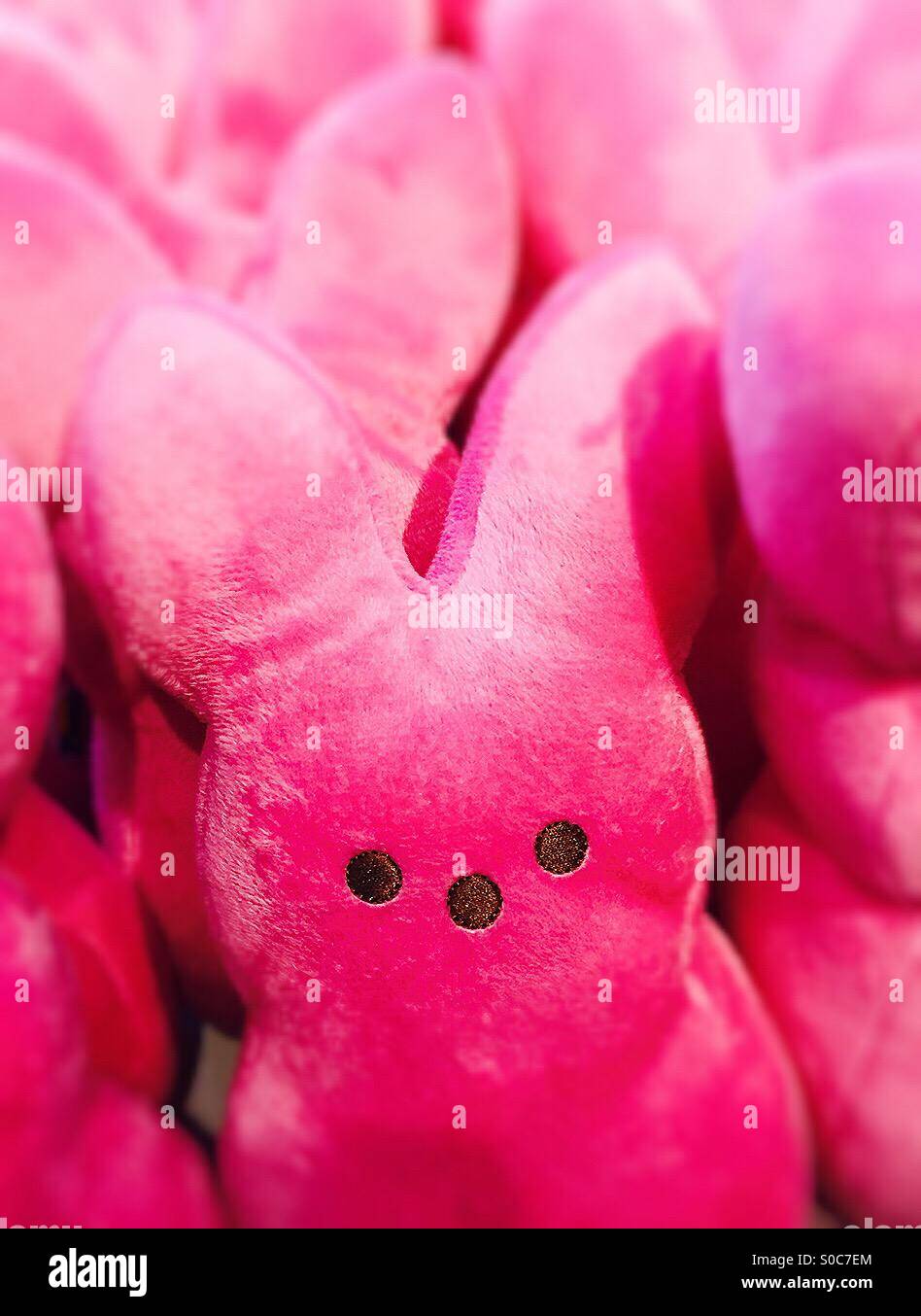Peeps Bunnies Stock Photos & Peeps Bunnies Stock Images - Alamy