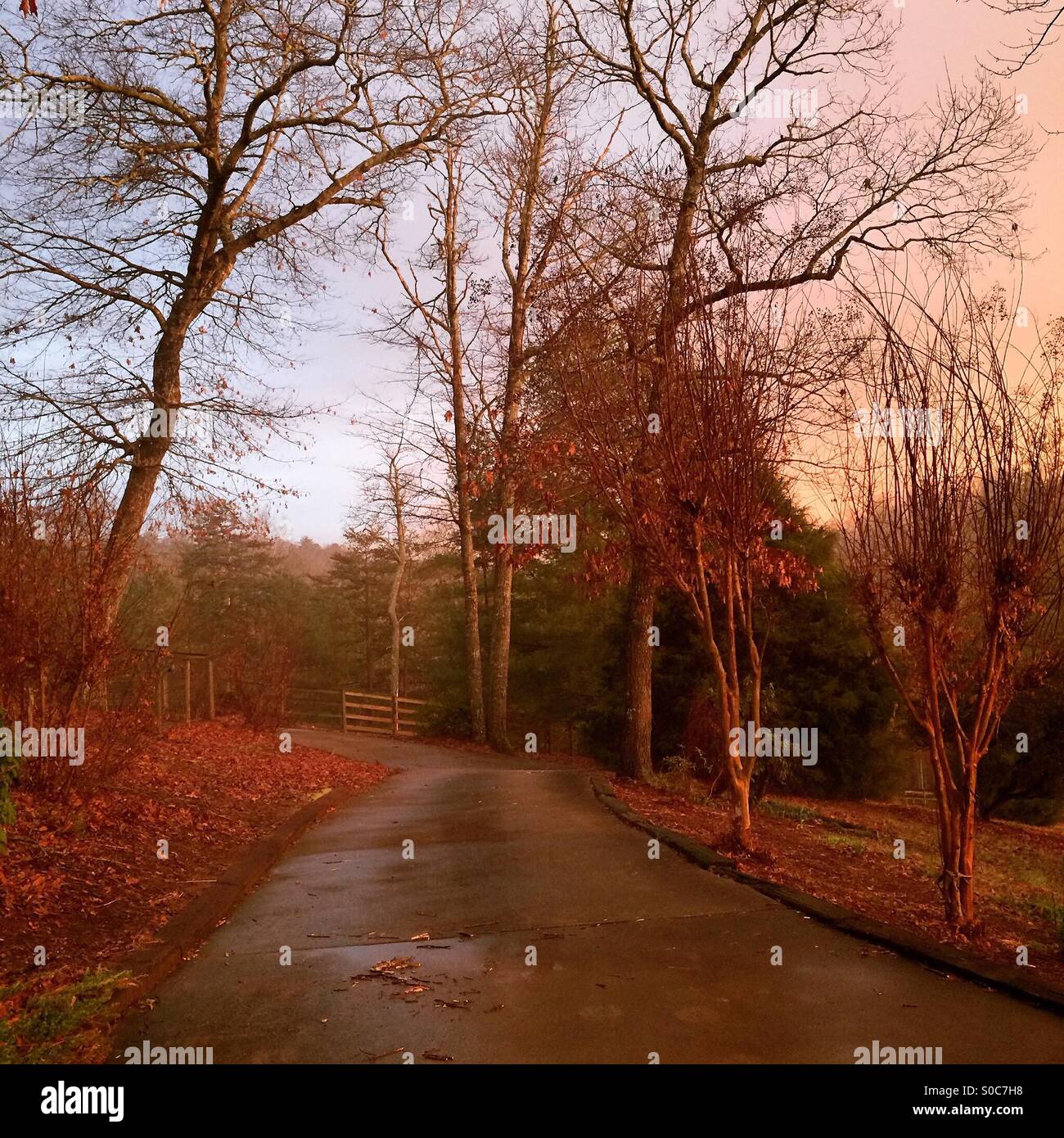 Long driveway hi-res stock photography and images - Alamy