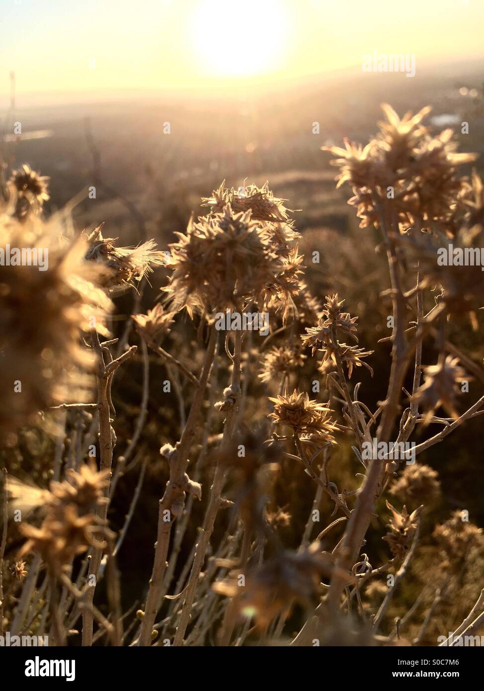 Sticker cluster hi-res stock photography and images - Alamy