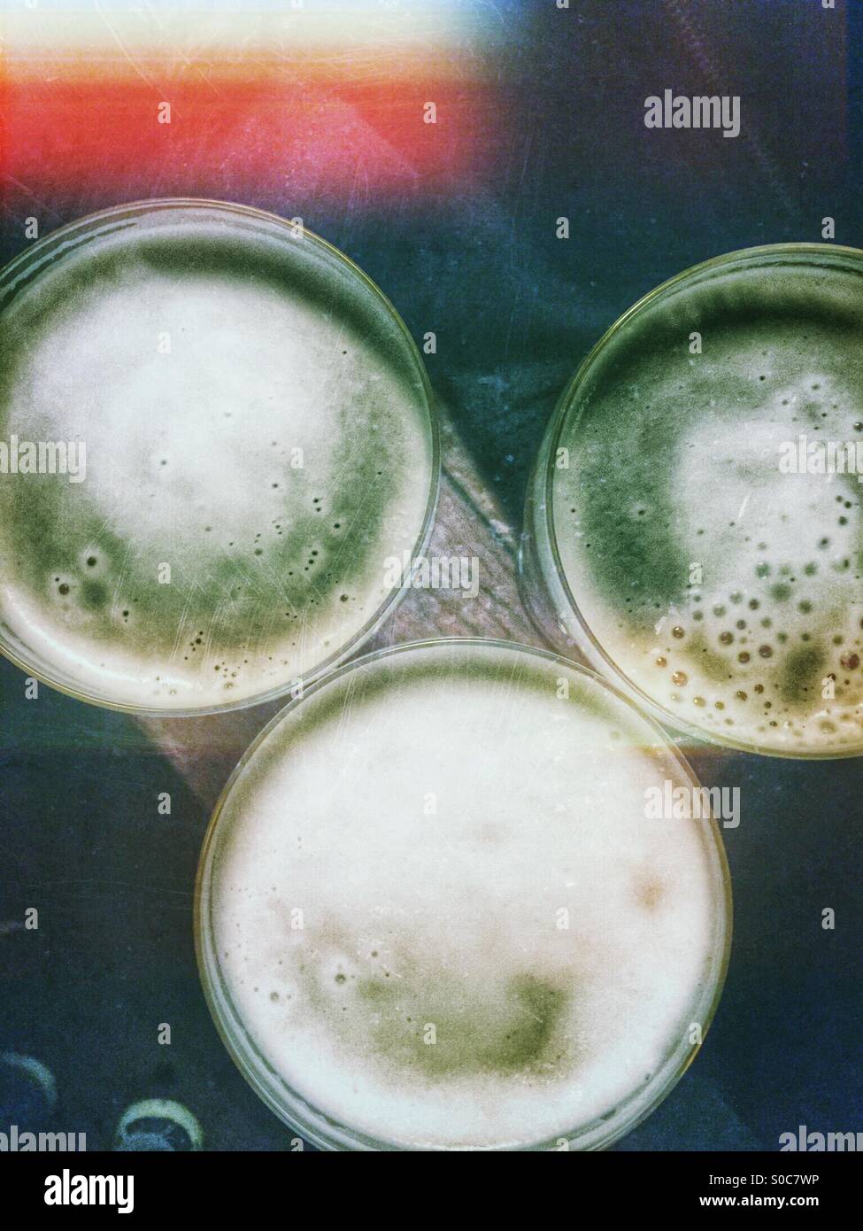 Three pints of beer hi-res stock photography and images - Alamy
