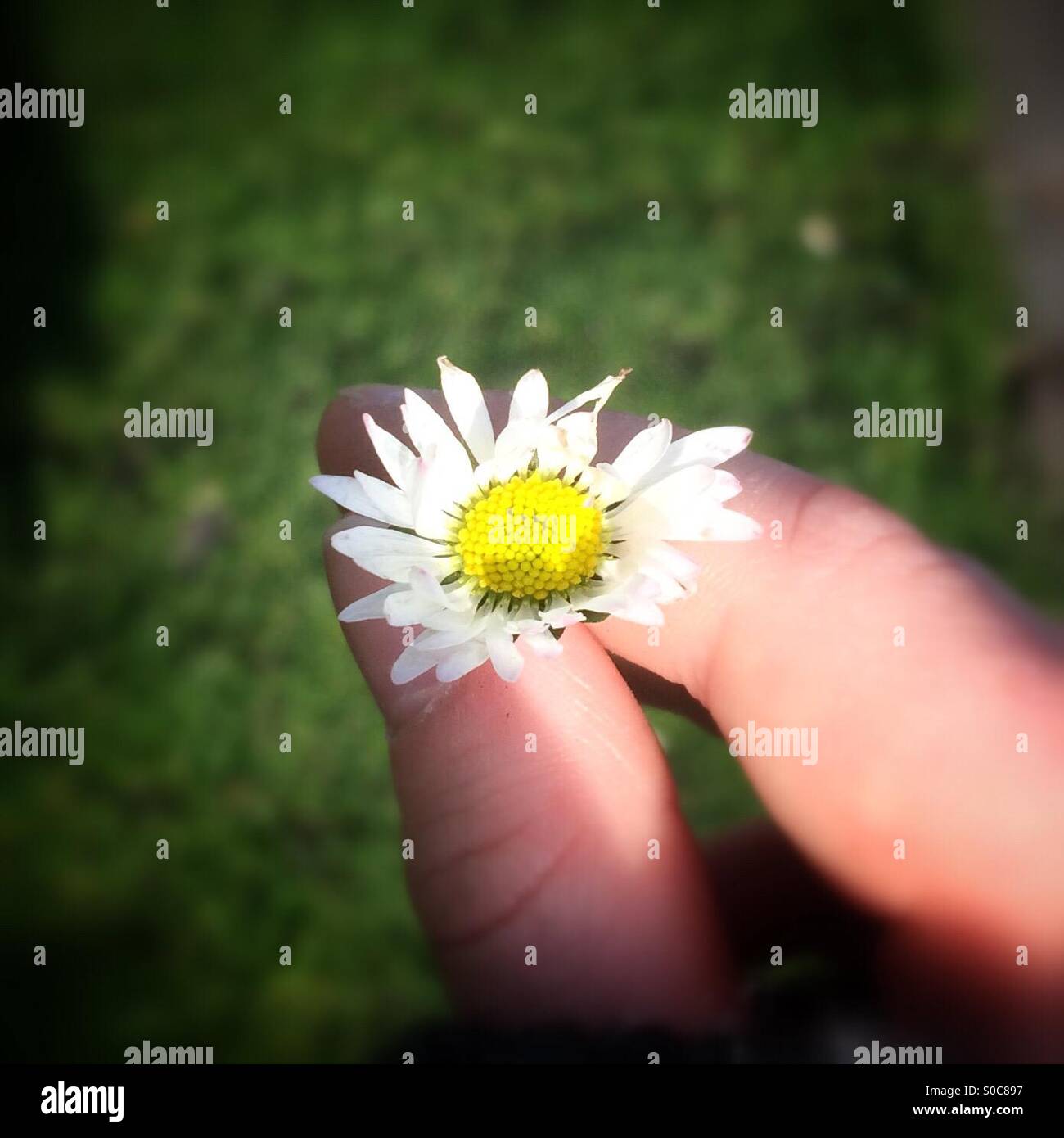 Thumb index finger hi-res stock photography and images - Alamy