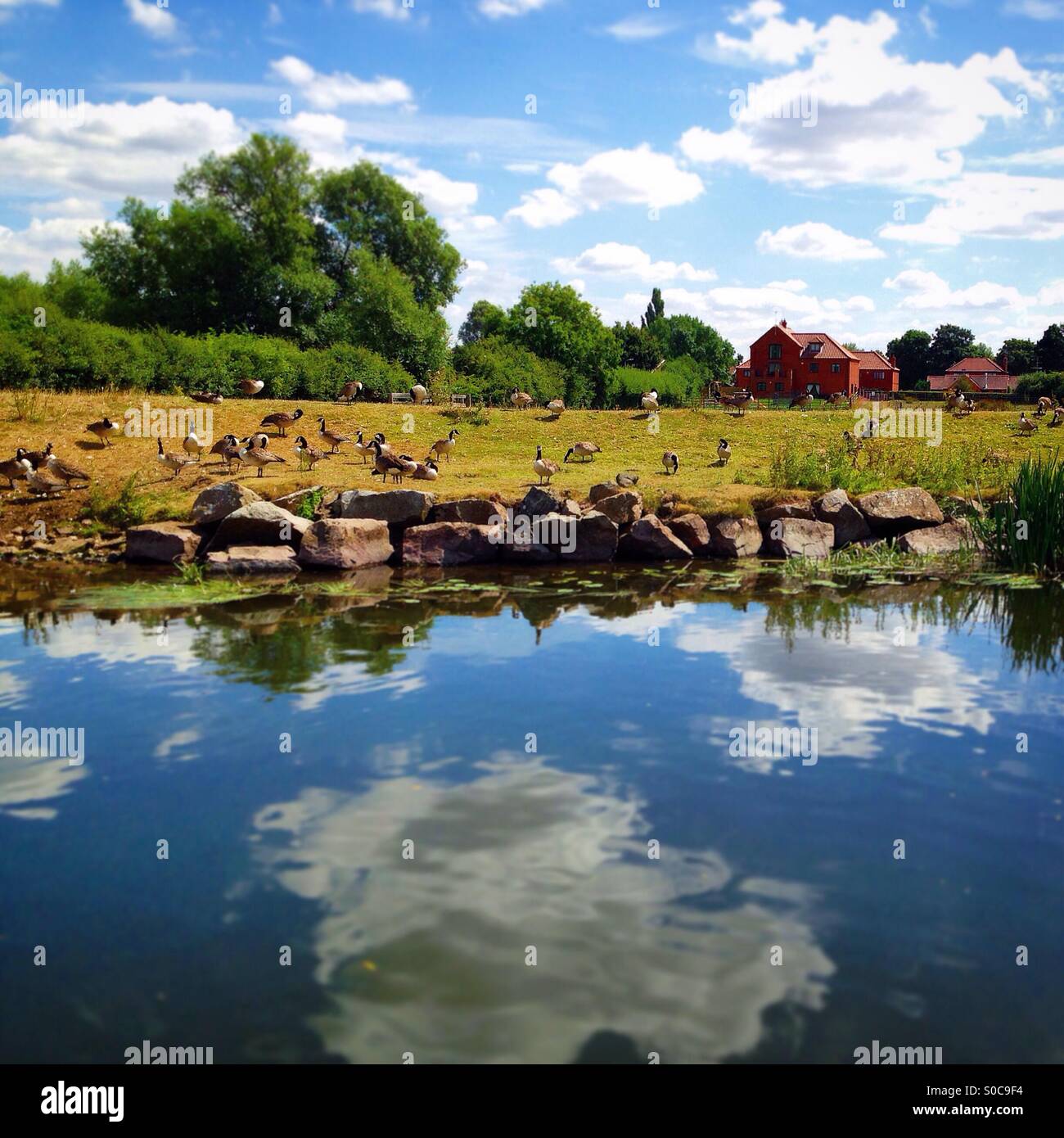 Grassy river bank hi-res stock photography and images - Alamy