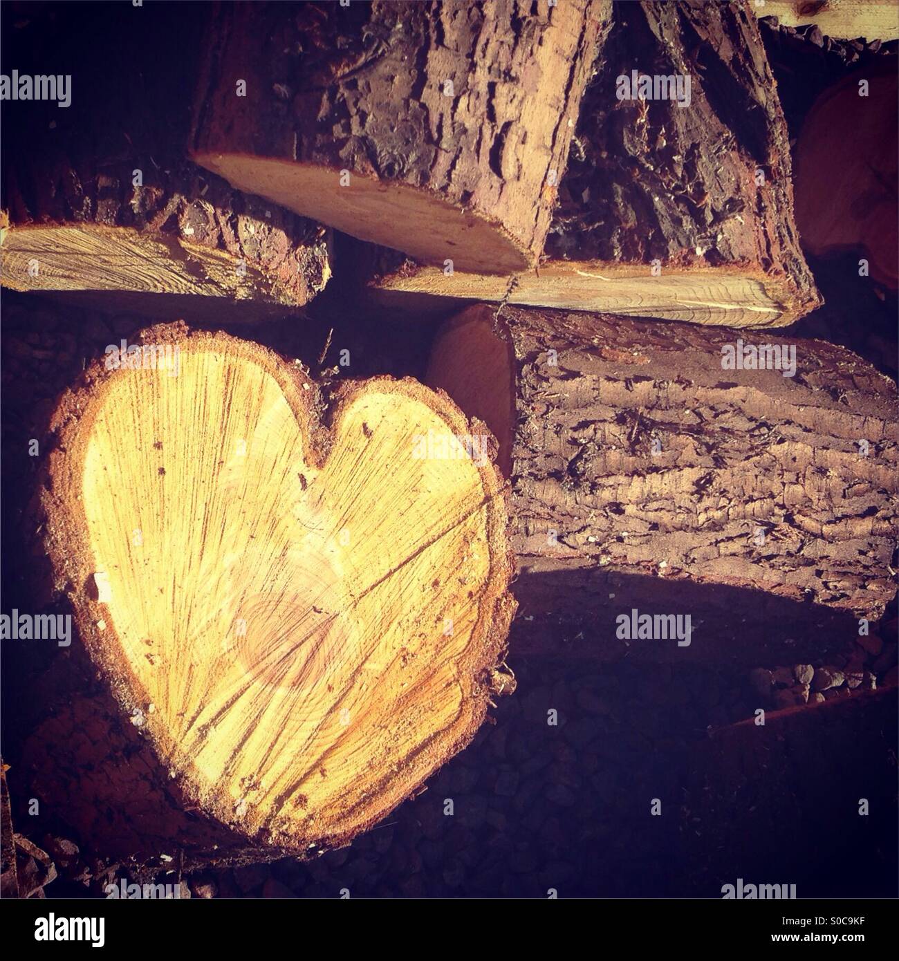 Heart shaped log Stock Photo - Alamy