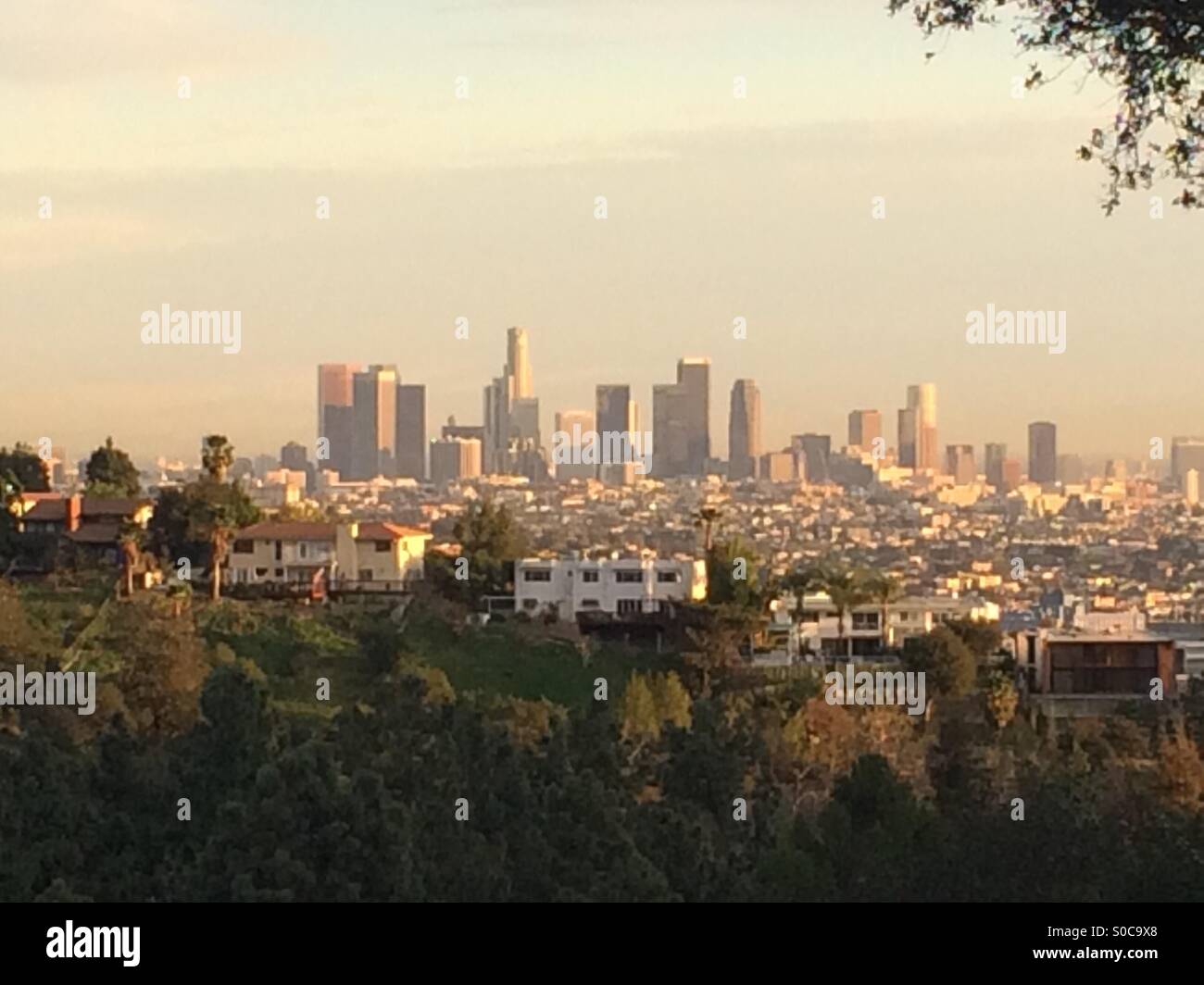 Los Angeles skyline view from Griffith Park as sunset approaches Stock ...