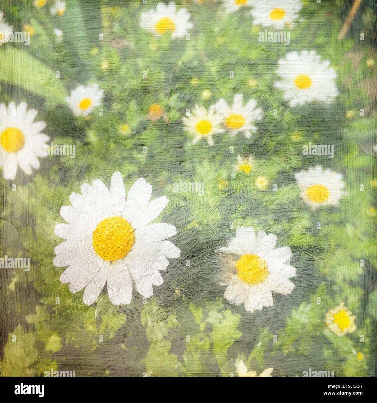 Painterly texture overlay hi-res stock photography and images - Alamy