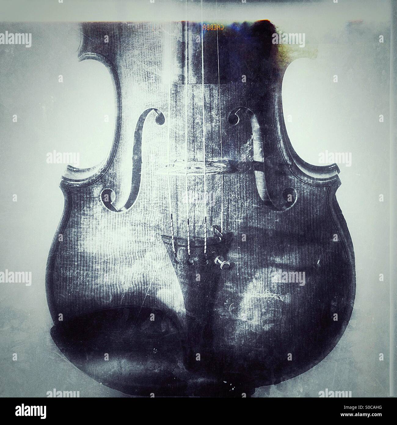 Bw violin section Stock Photo - Alamy