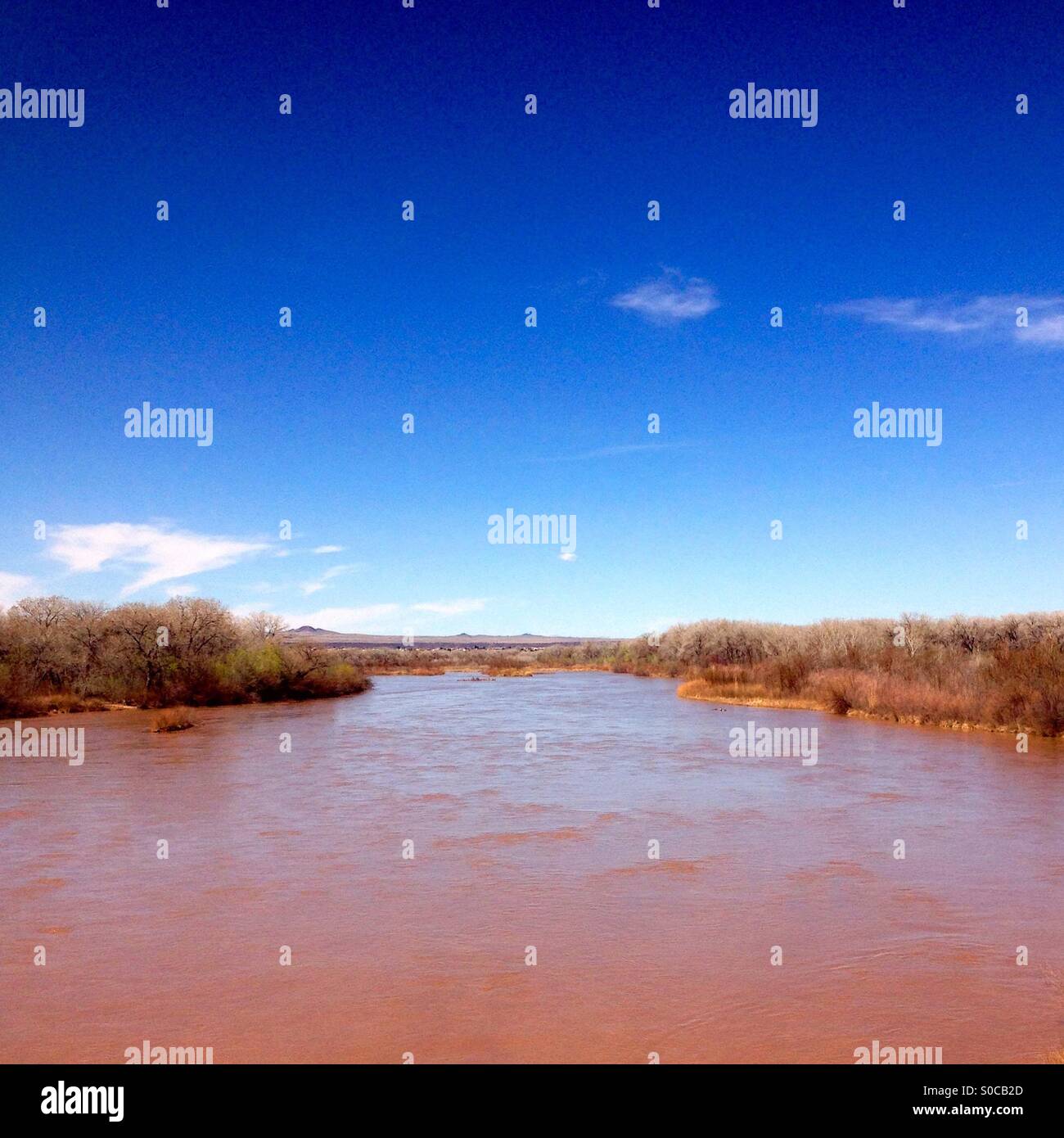 Rio Grande River in Albuquerque New Mexico in spring Stock Photo - Alamy