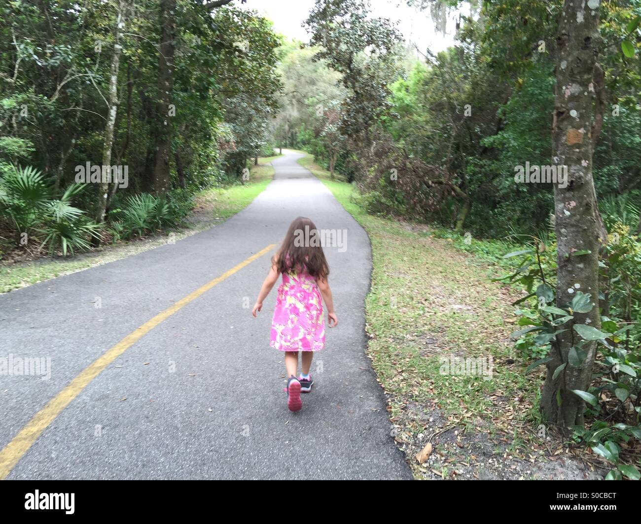 Choose wisely hi-res stock photography and images - Alamy