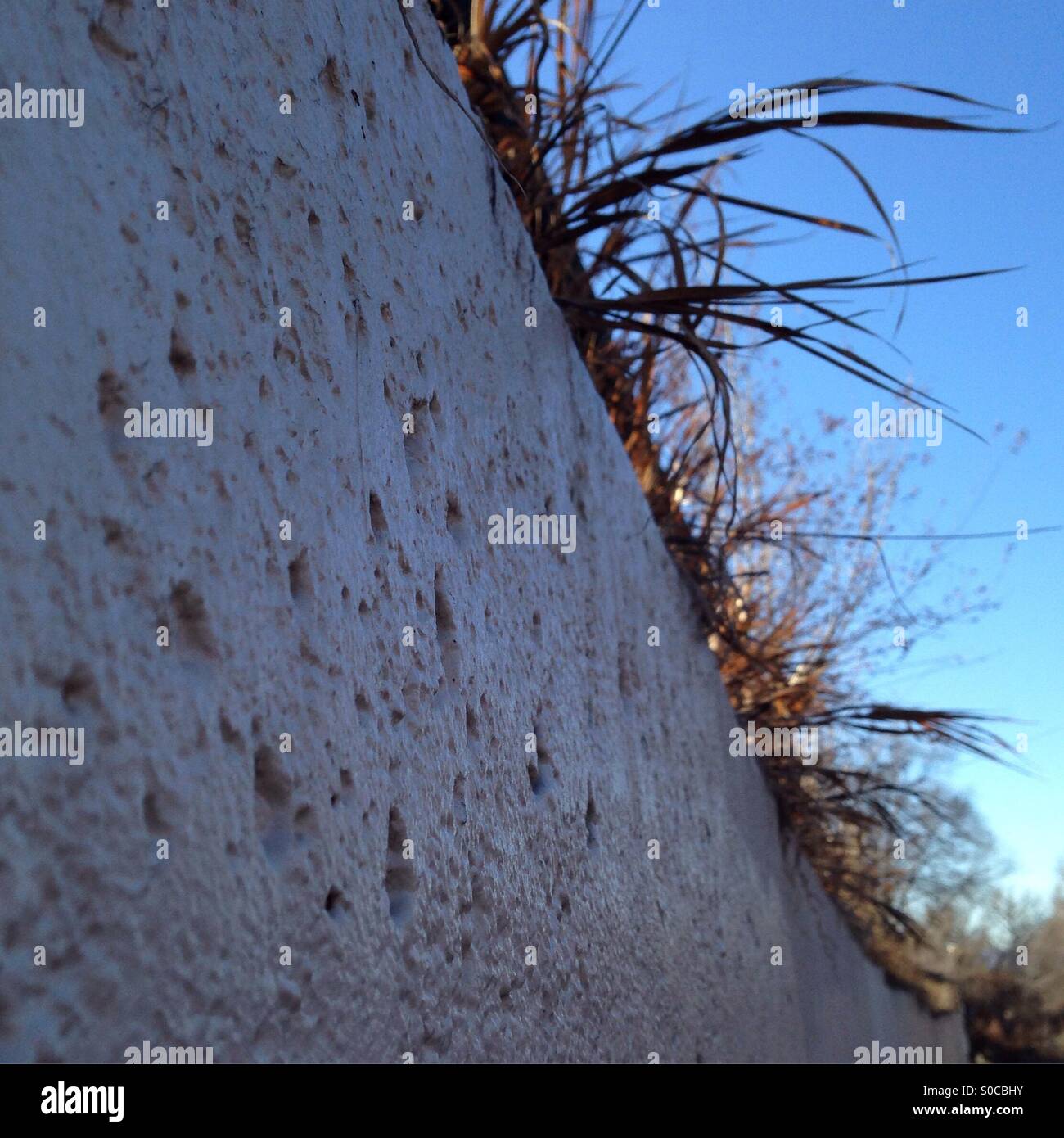 Wall of grass hi-res stock photography and images - Alamy
