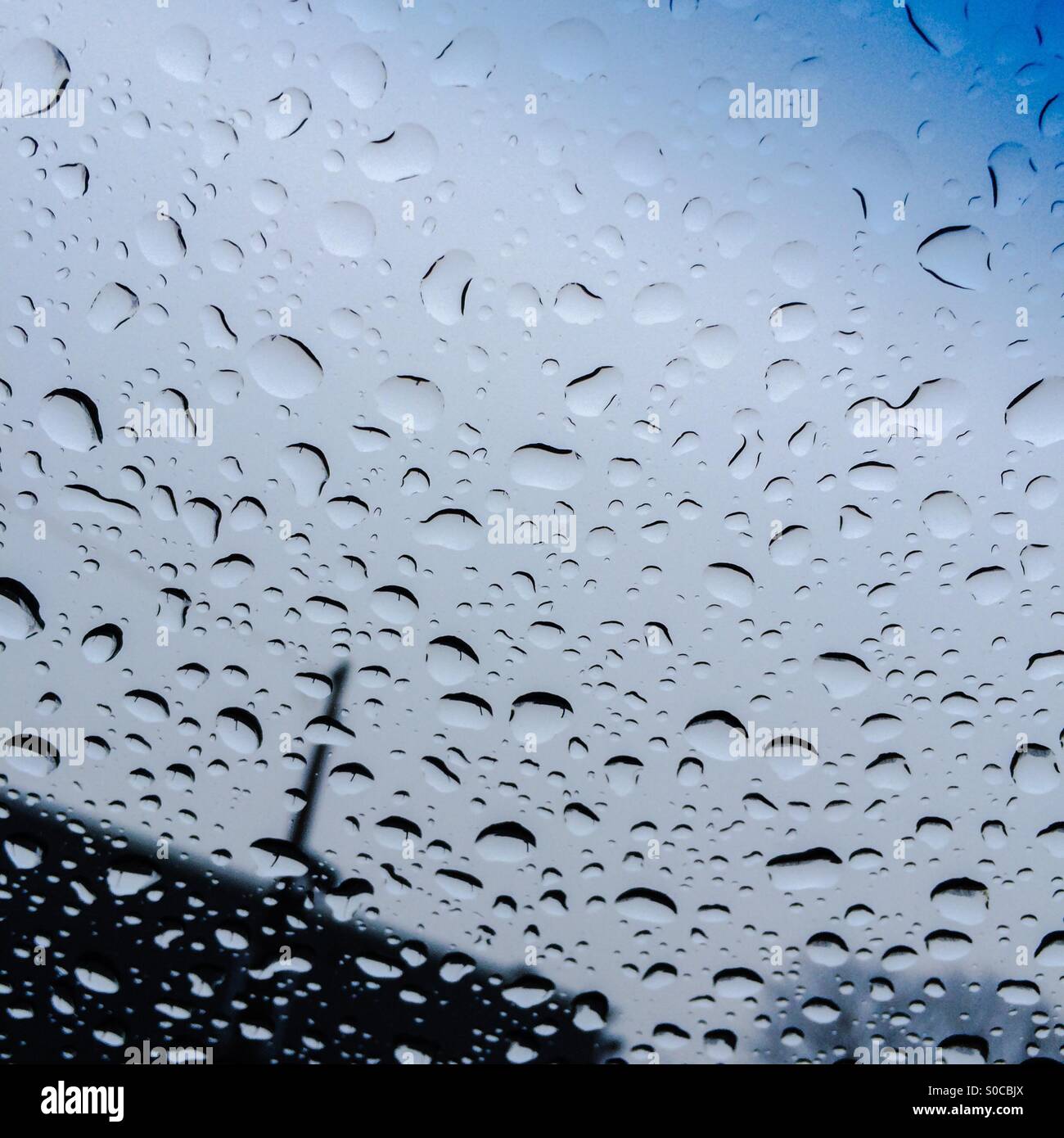 Perfect rain drops Stock Photo - Alamy