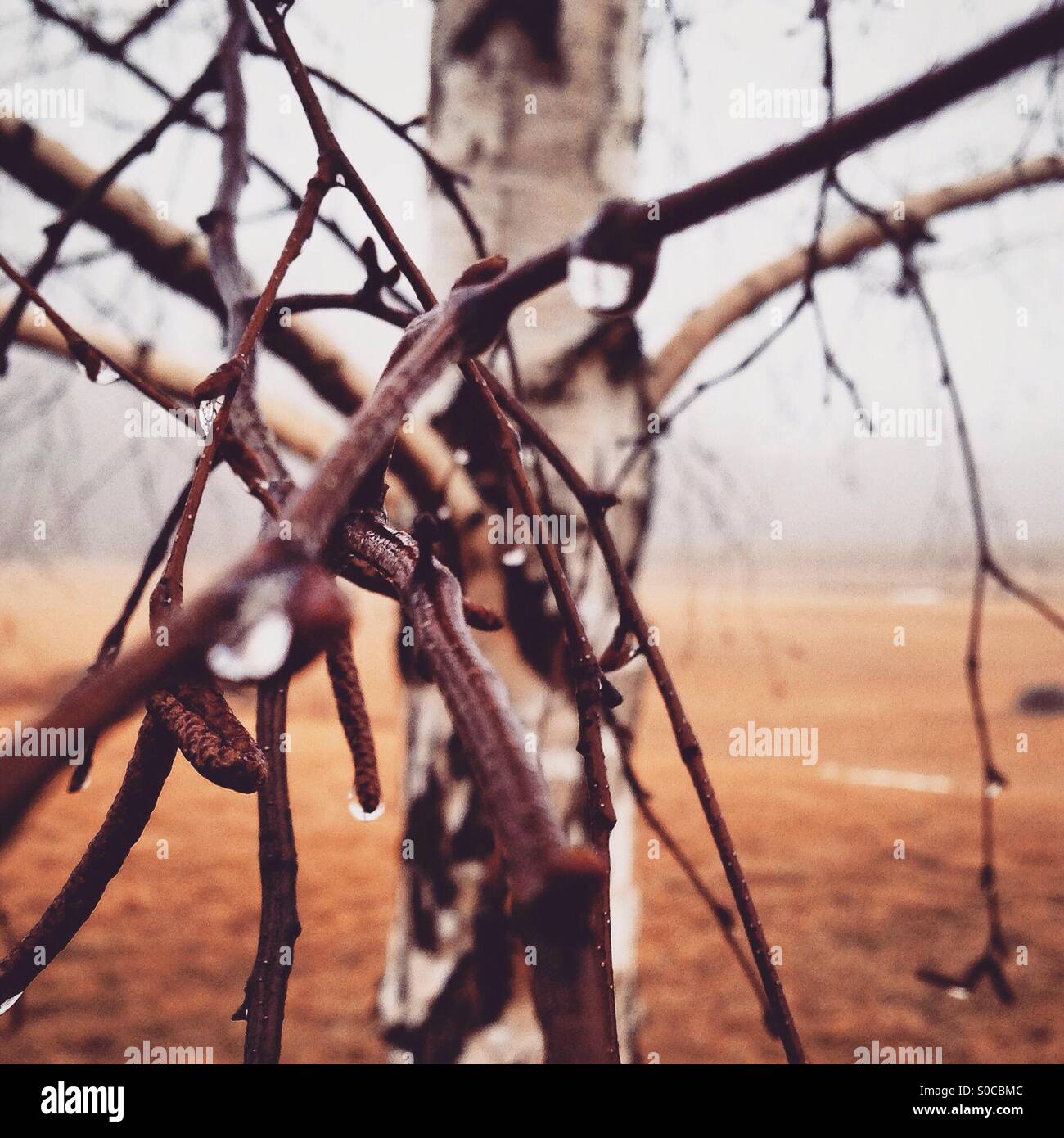 Warm colors brown hi-res stock photography and images - Alamy