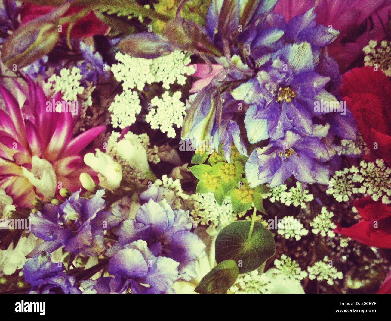 Colorful summer flowers Stock Photo - Alamy