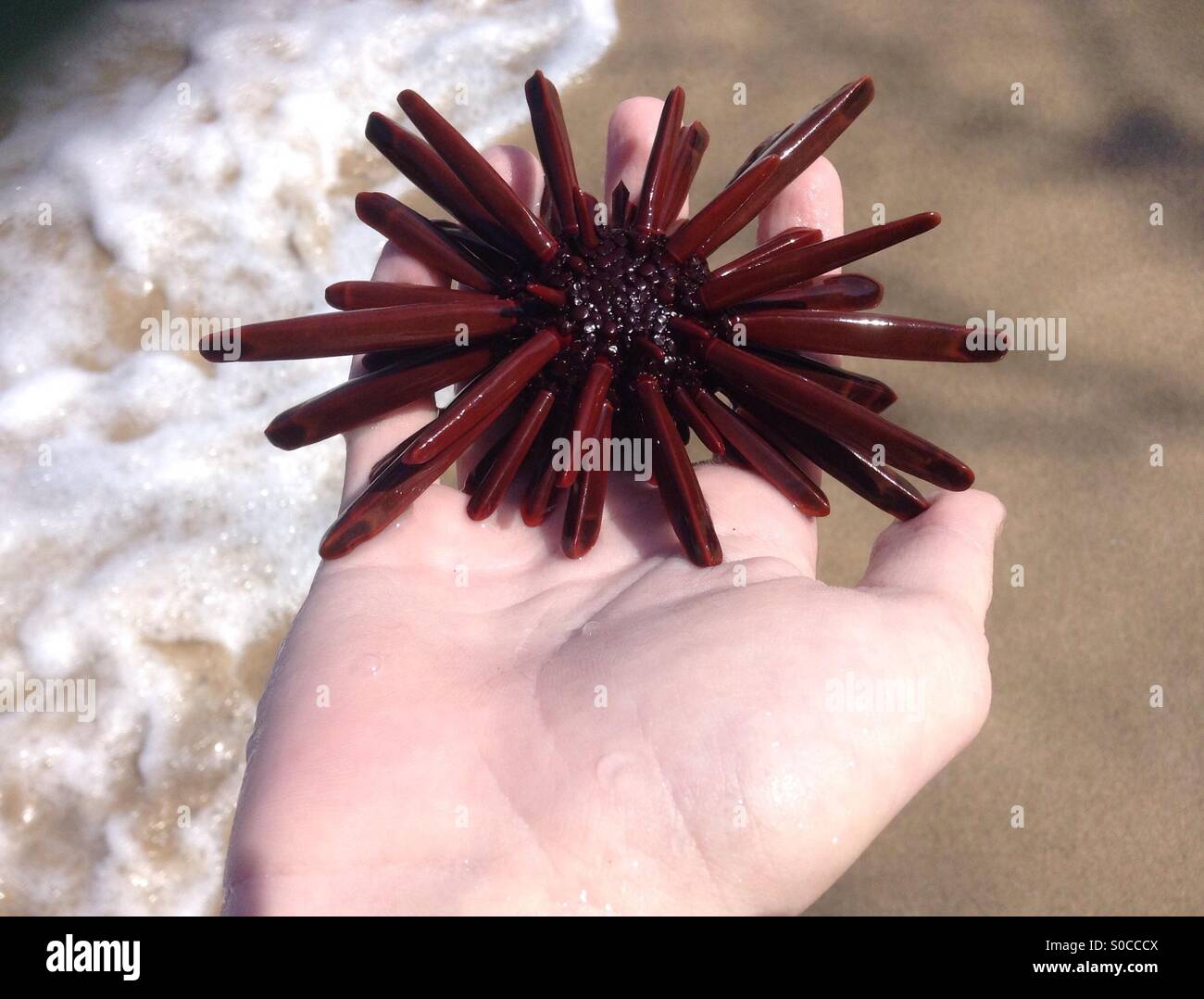 Vana hi-res stock photography and images - Alamy