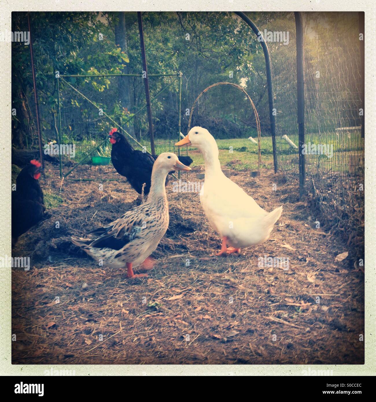 Self sufficient hi-res stock photography and images - Alamy