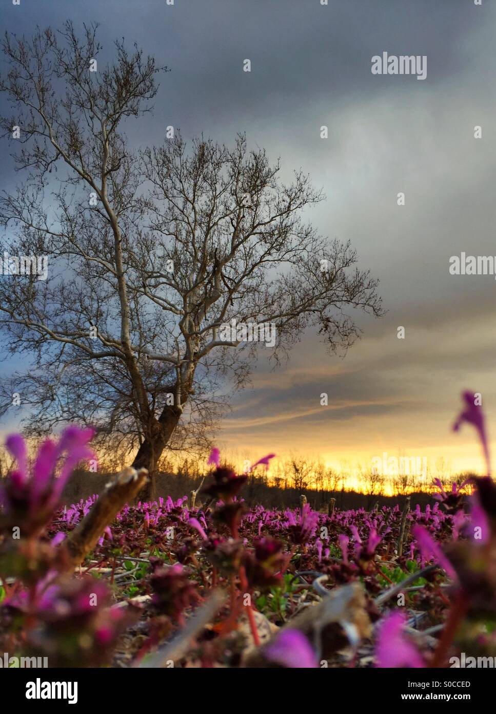 Prior to sunrise High Resolution Stock Photography and Images - Alamy