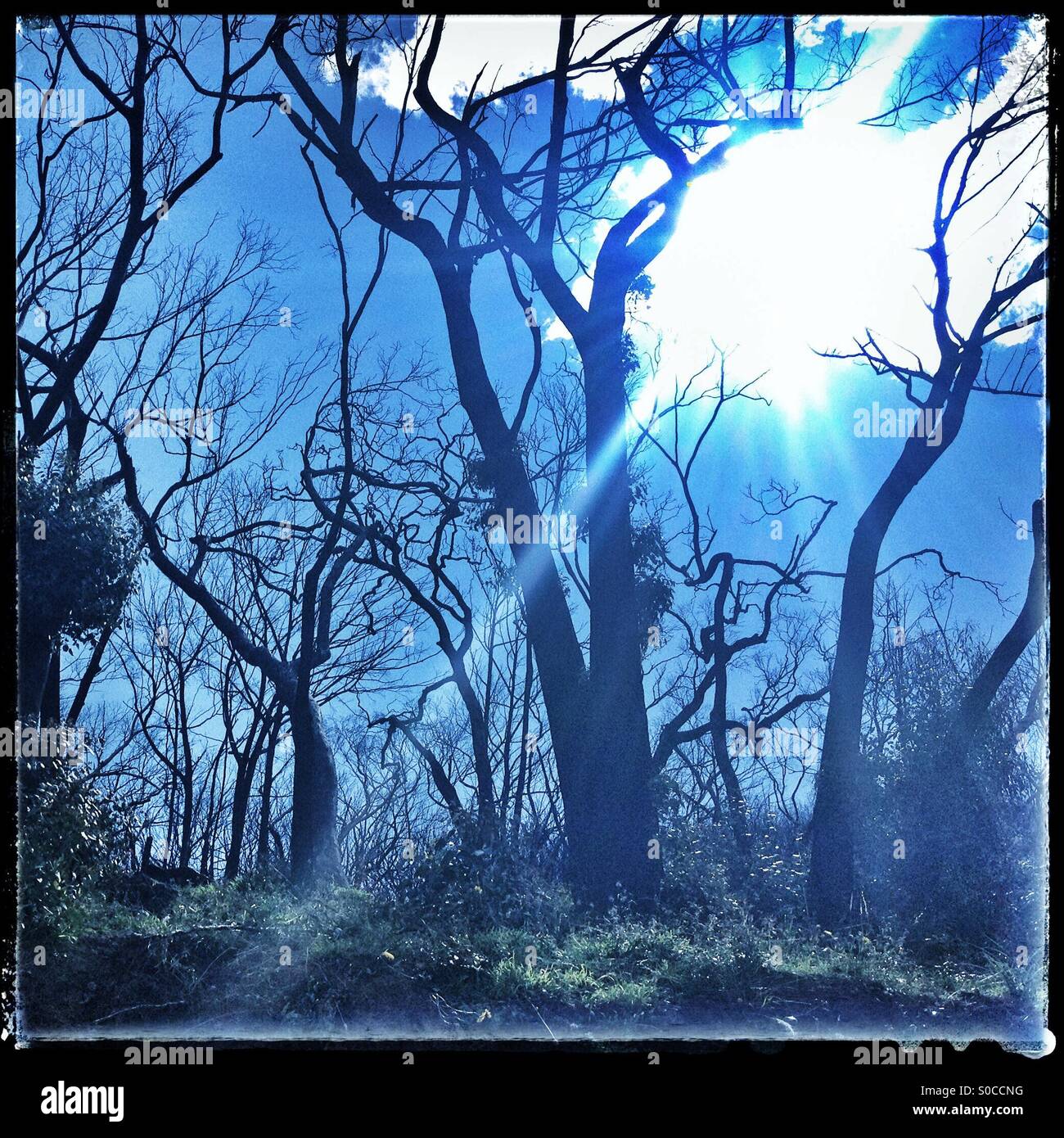 Spooky sun hi-res stock photography and images - Alamy