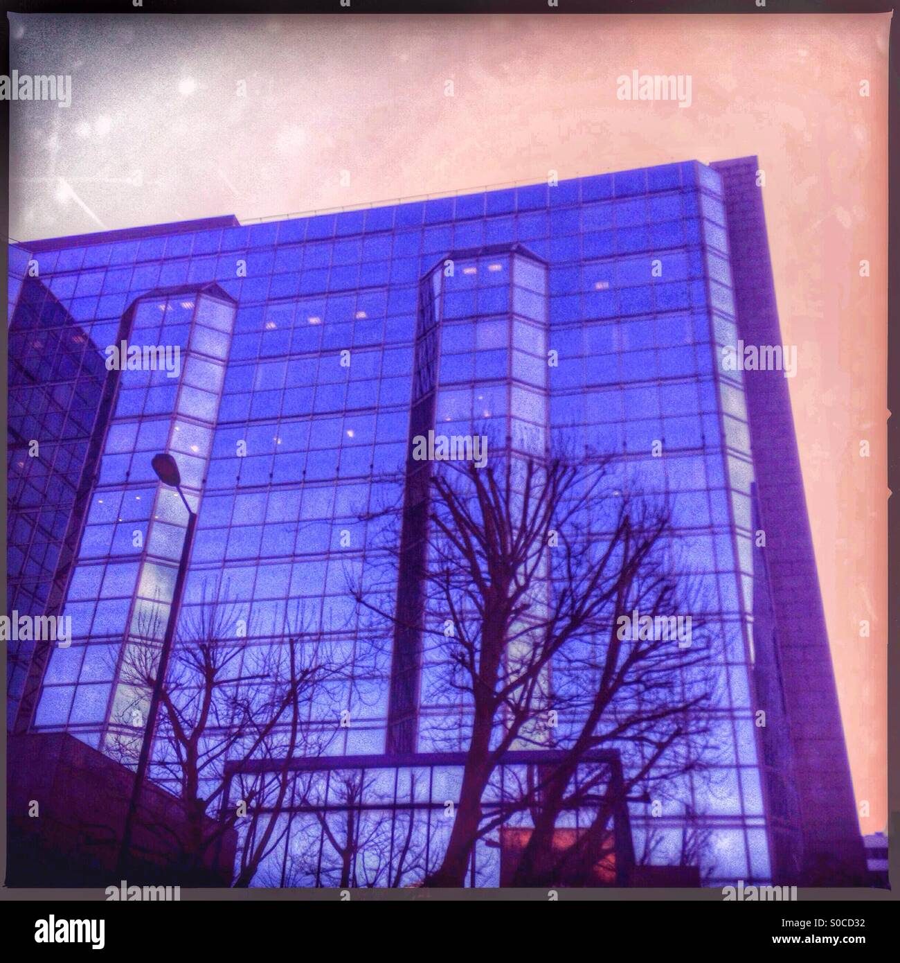 Modern office building with mirrored windows. Trees silhouetted in ...