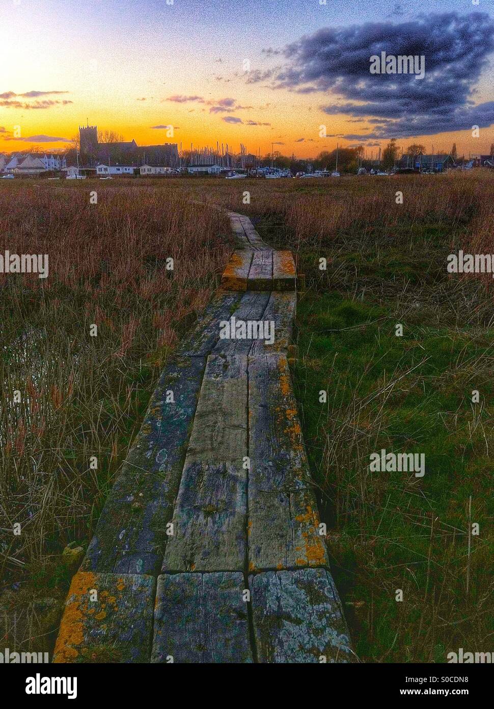 Stanpit marsh nature reserve hi-res stock photography and images - Alamy