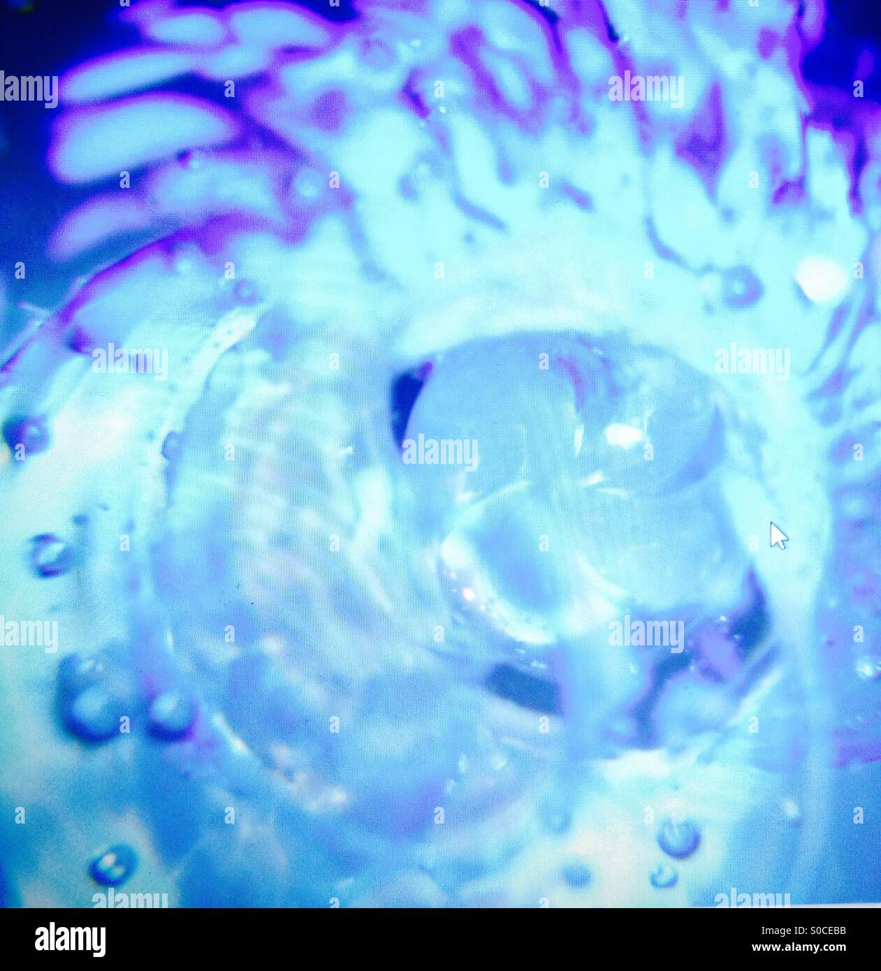 Diachronic glass hi-res stock photography and images - Alamy