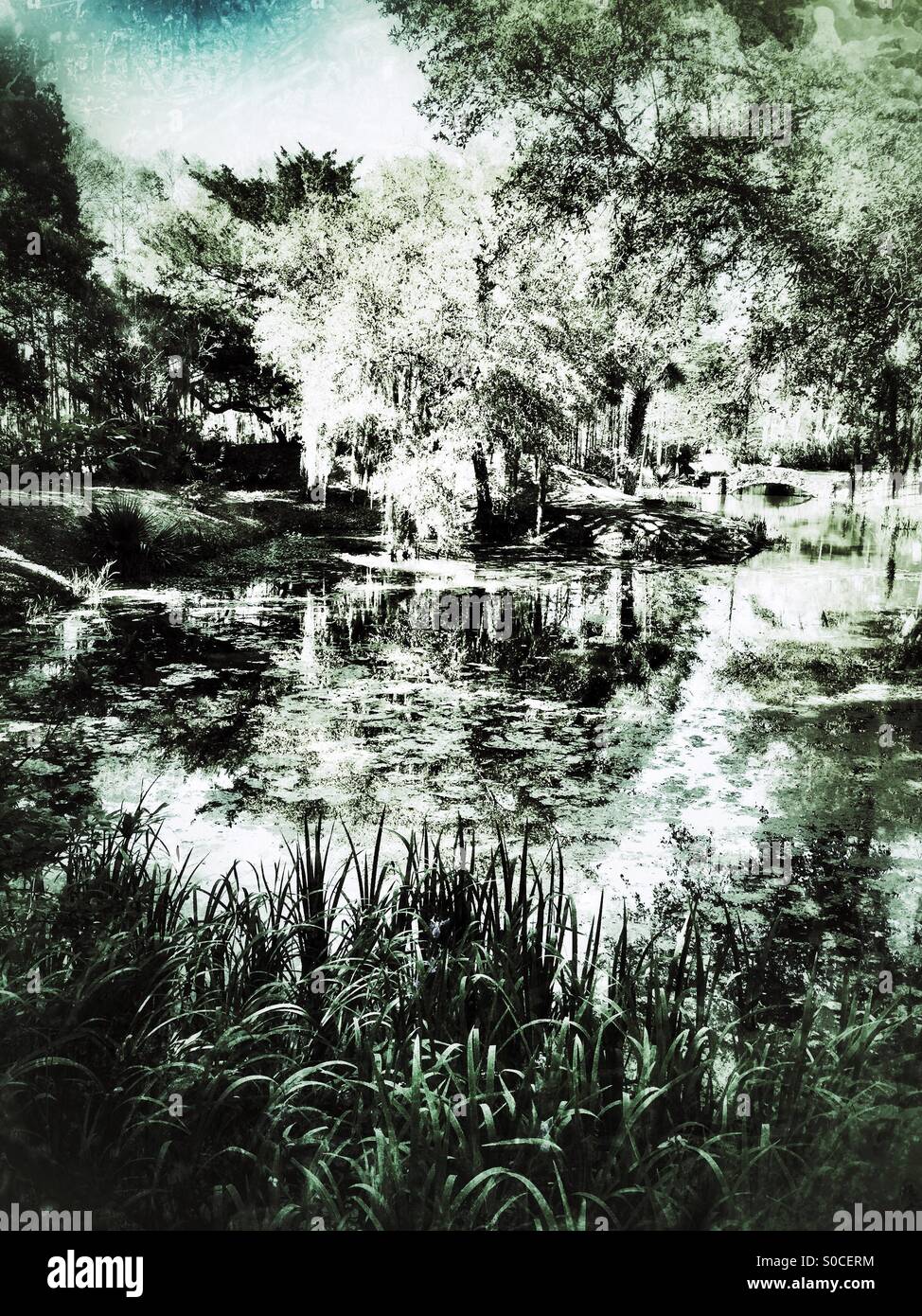 Bayou Country High Resolution Stock Photography and Images - Alamy