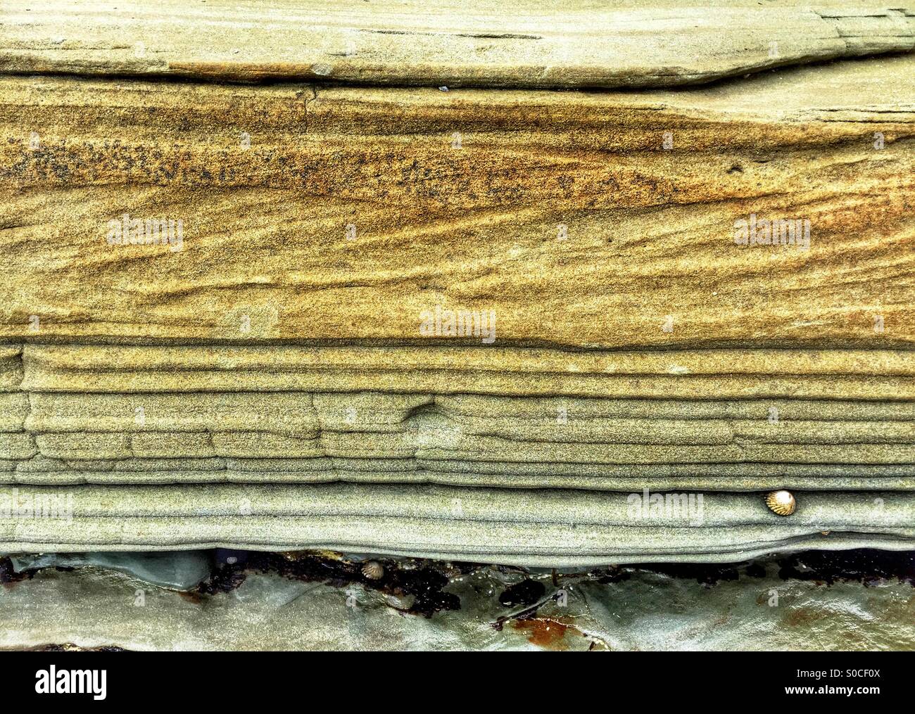 Sandstone rock ledge hi-res stock photography and images - Alamy