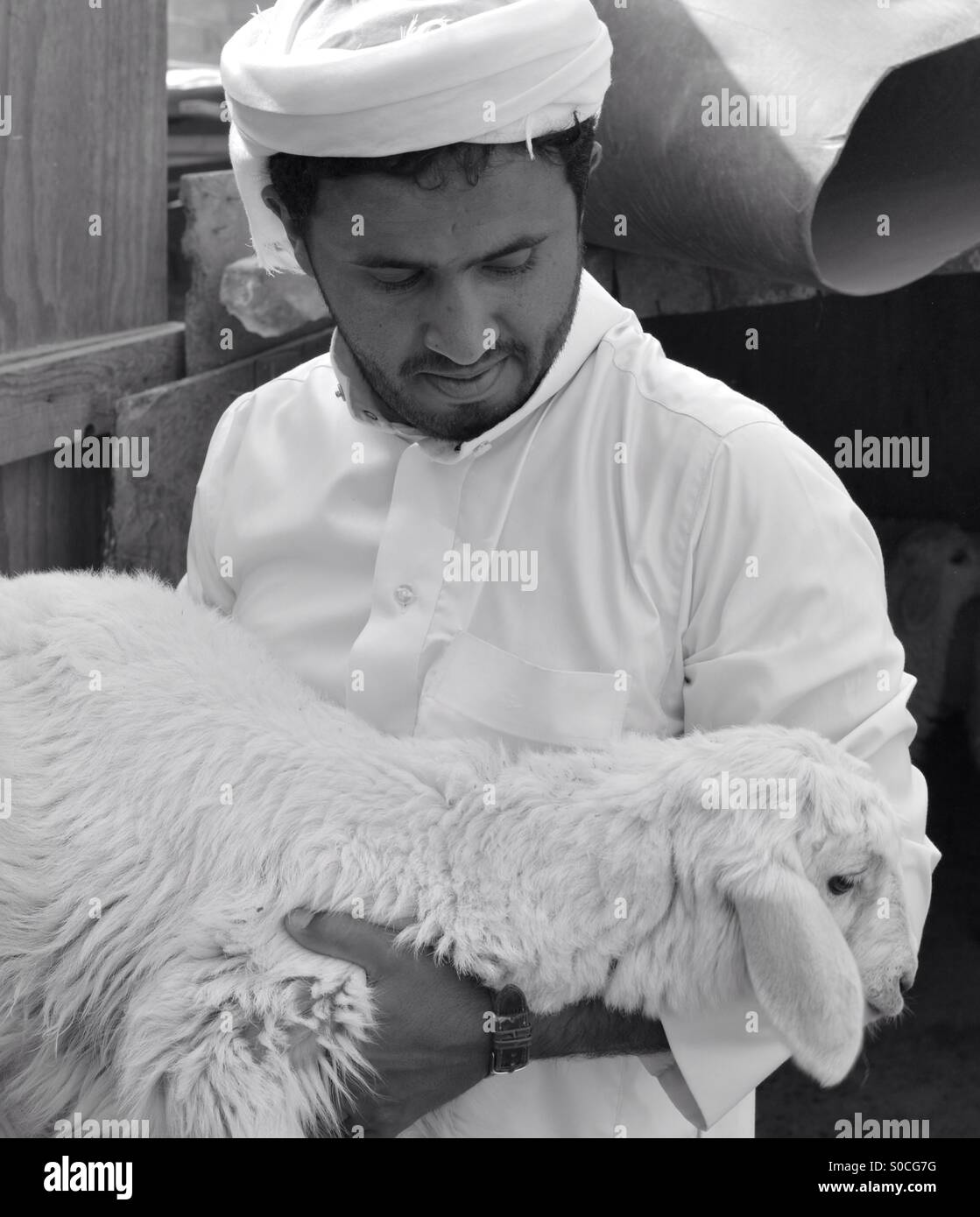 Man with sheep Stock Photo - Alamy