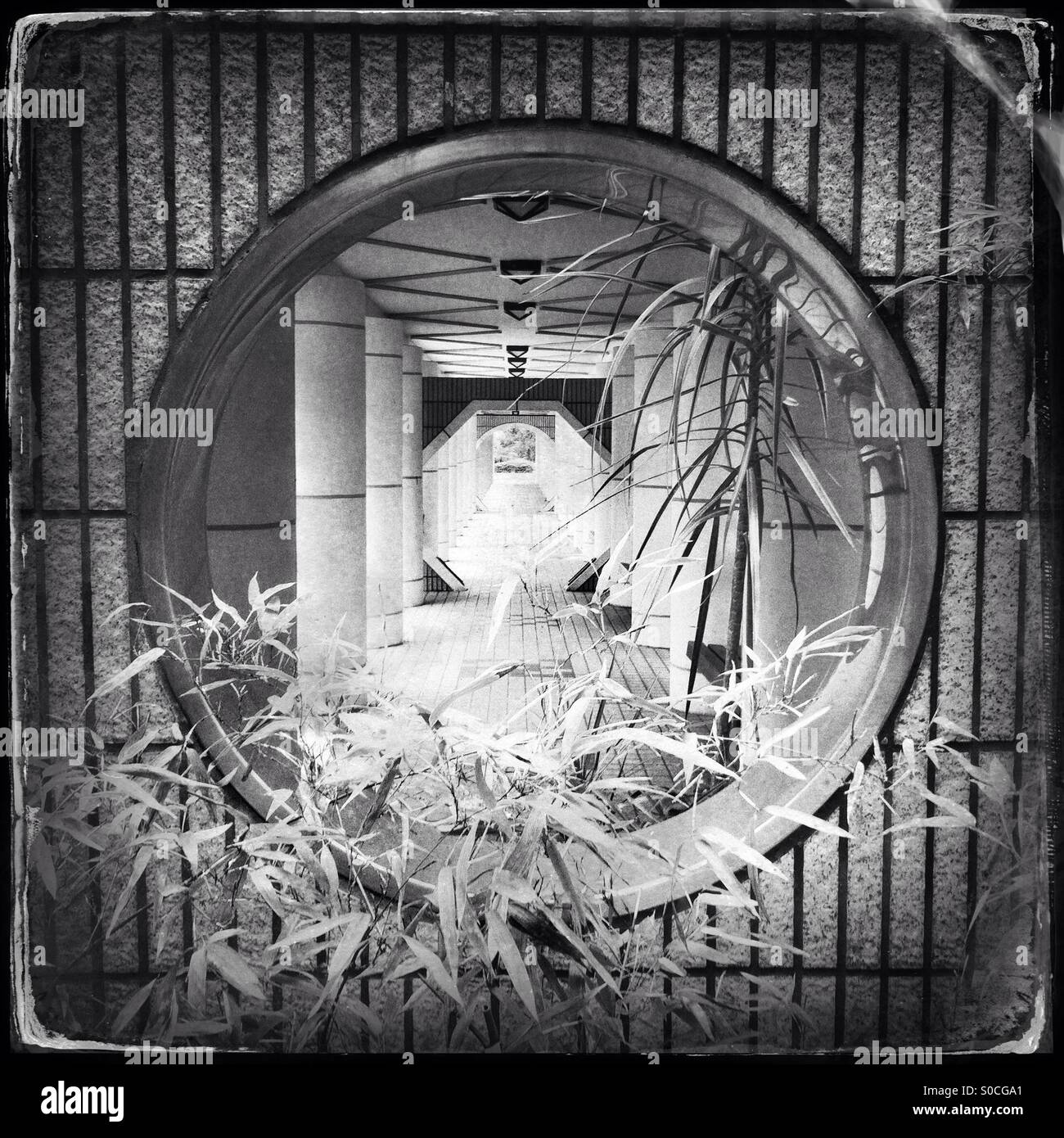 Circular window in Chinese garden, Hong Kong Stock Photo - Alamy