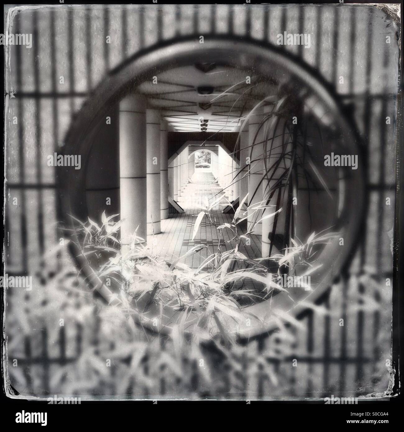 Circular window in Chinese garden, Hong Kong Stock Photo - Alamy