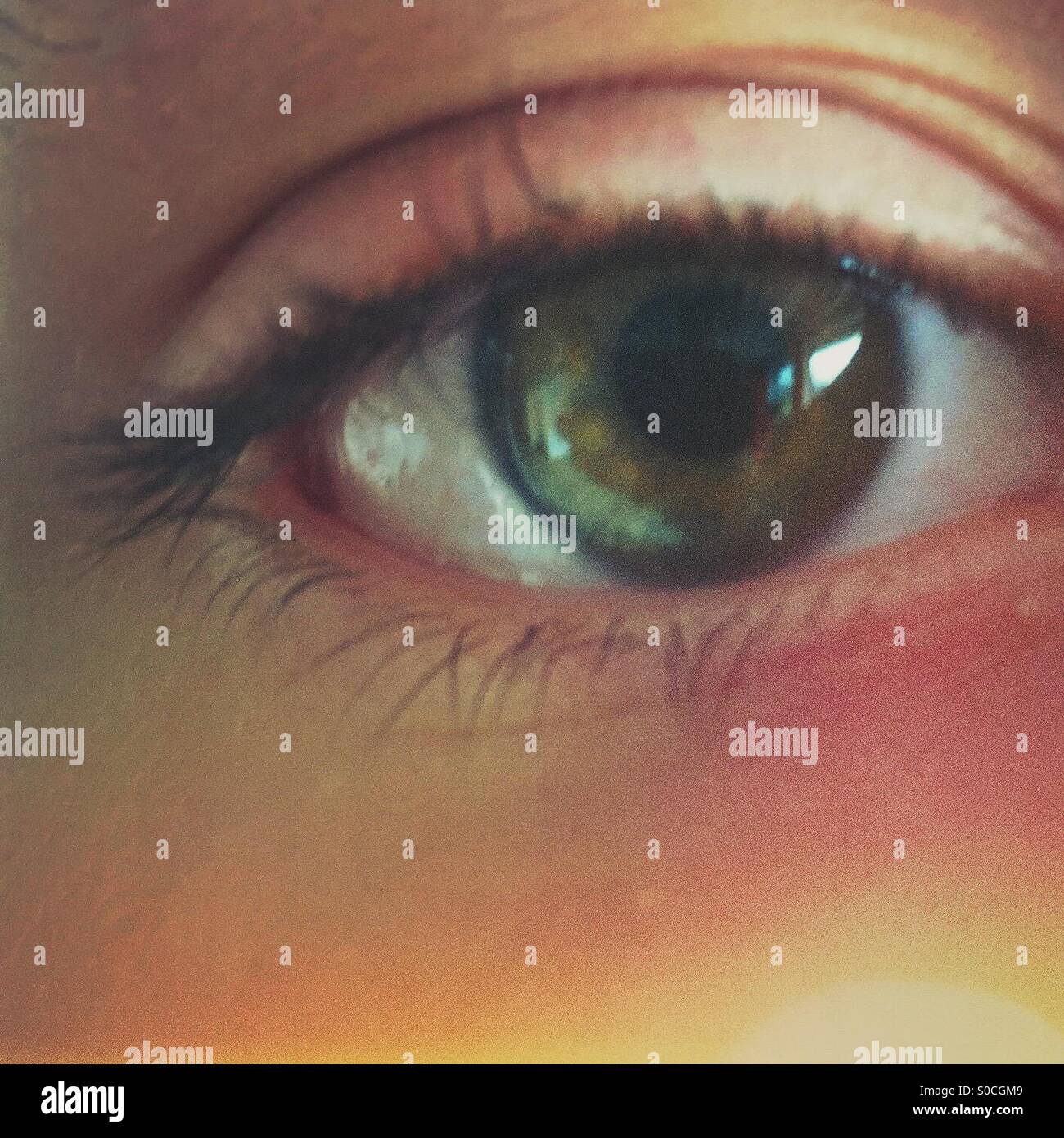 Green eye closeup hi-res stock photography and images - Alamy