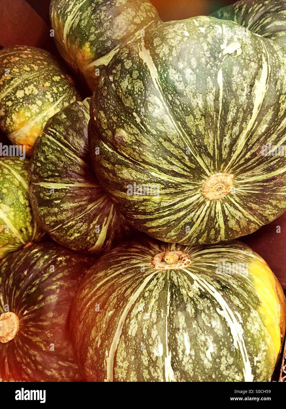 Cucurbita maxima 'kabocha' hi-res stock photography and images - Alamy