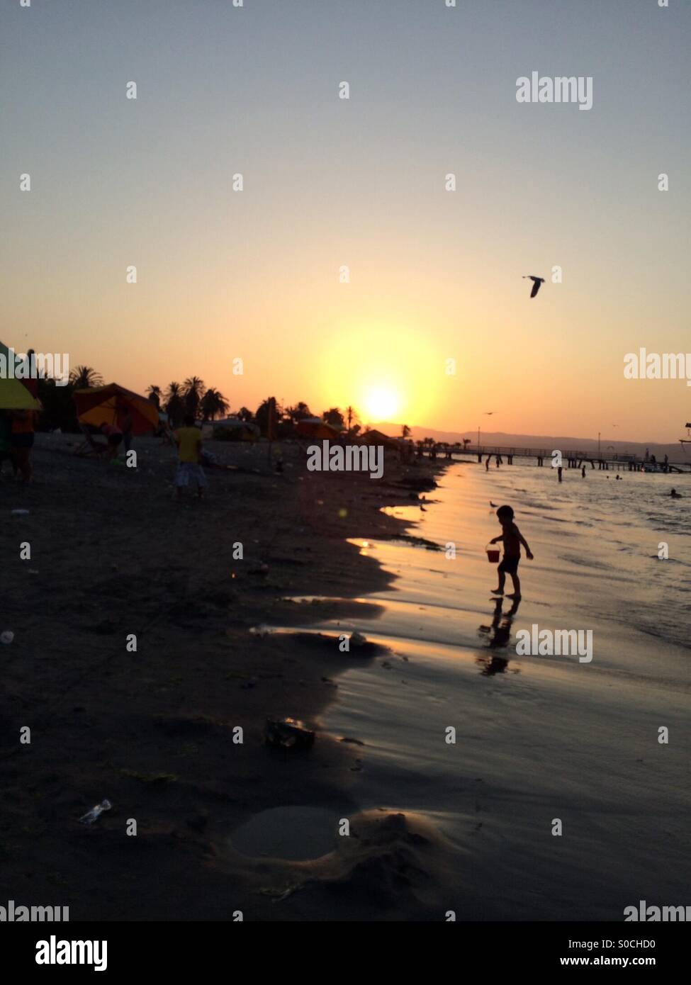 Paracas sunset hi-res stock photography and images - Alamy